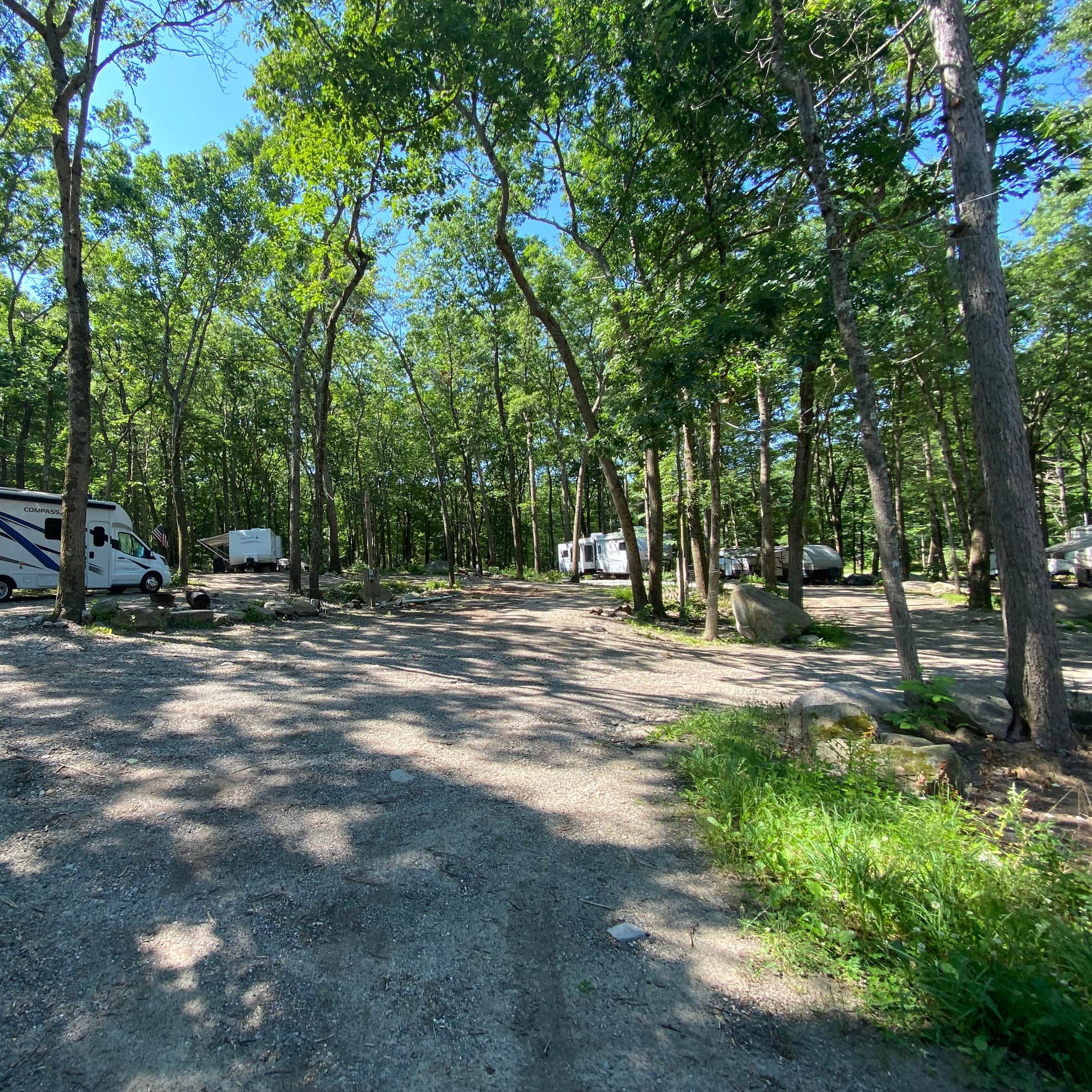 Douglas Forest RV Resort | Webster, Massachusetts