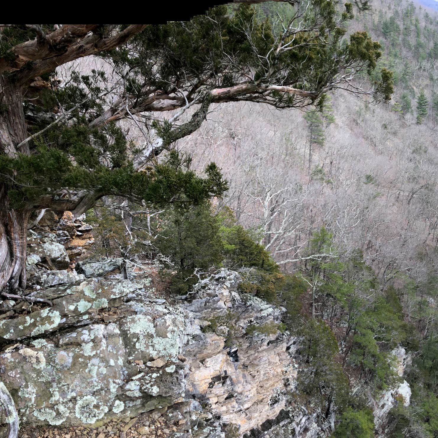 Harman’s Luxury Cabins | Cabins, West Virginia