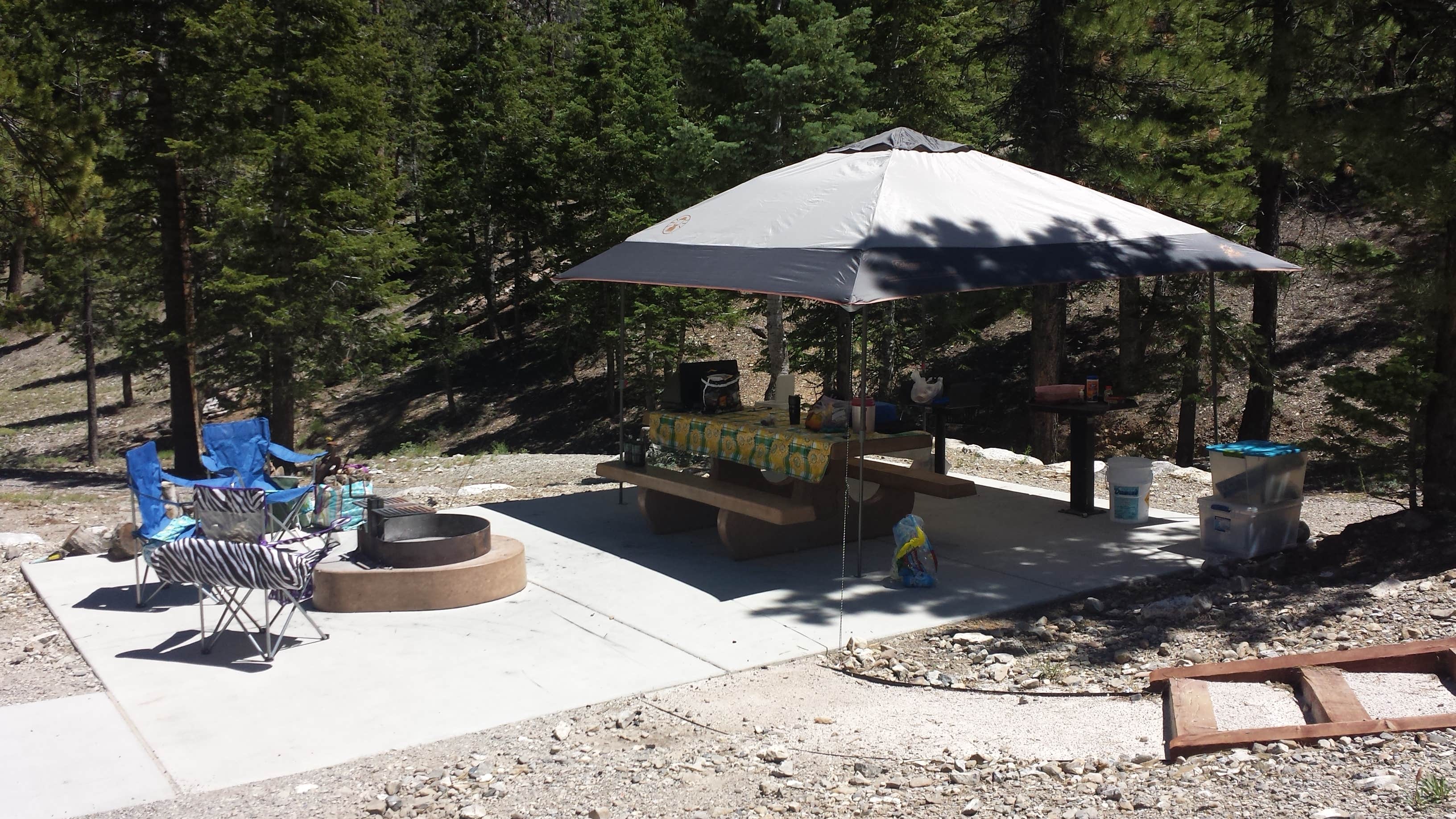 McWilliams Campground | Mount Charleston, Nevada