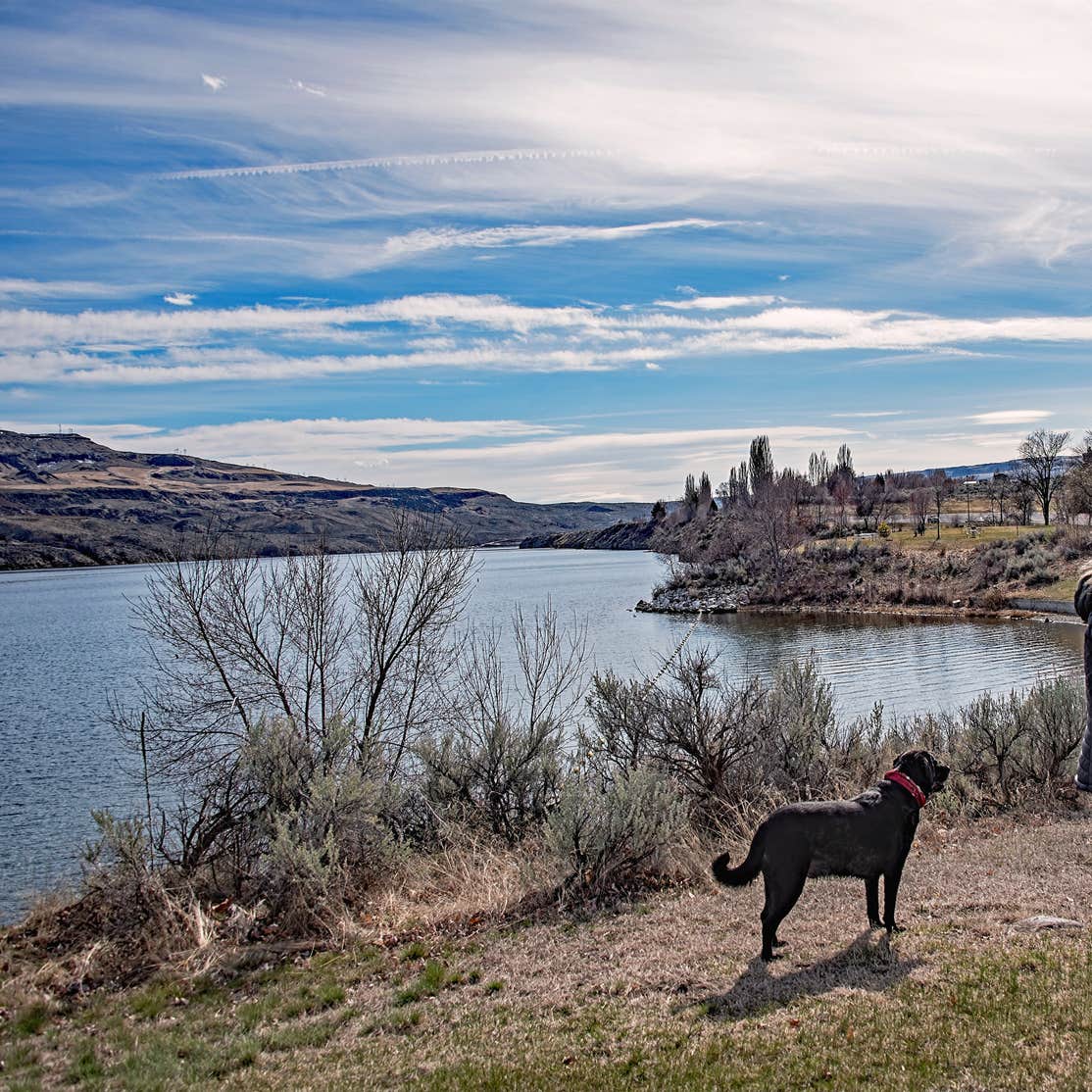 Bridgeport State Park Campground | Bridgeport, WA