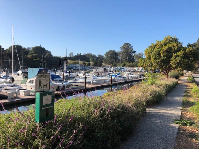 Santa Cruz Harbor RV Park | The Dyrt