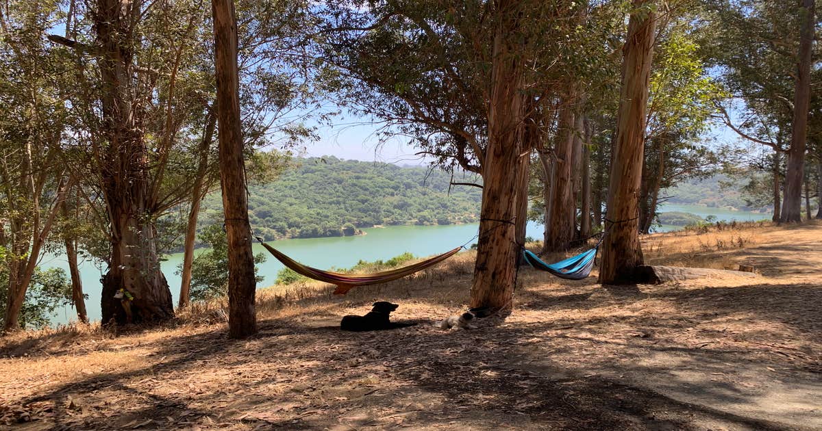 Anthony Chabot Regional Park Camping | Castro Valley, California