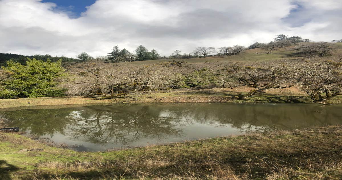 Long Creek Ranch Camping | Piercy, California