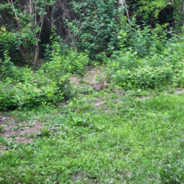 Sunset Campground — Richard Bong State Recreation Area | Burlington ...