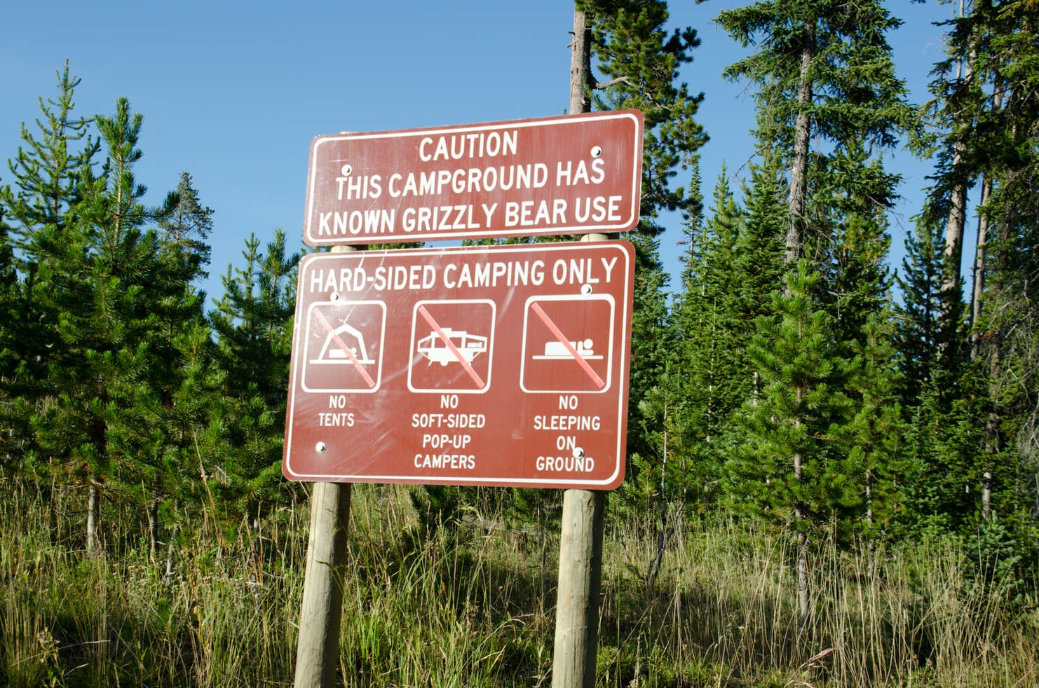 Colter Campground | The Dyrt