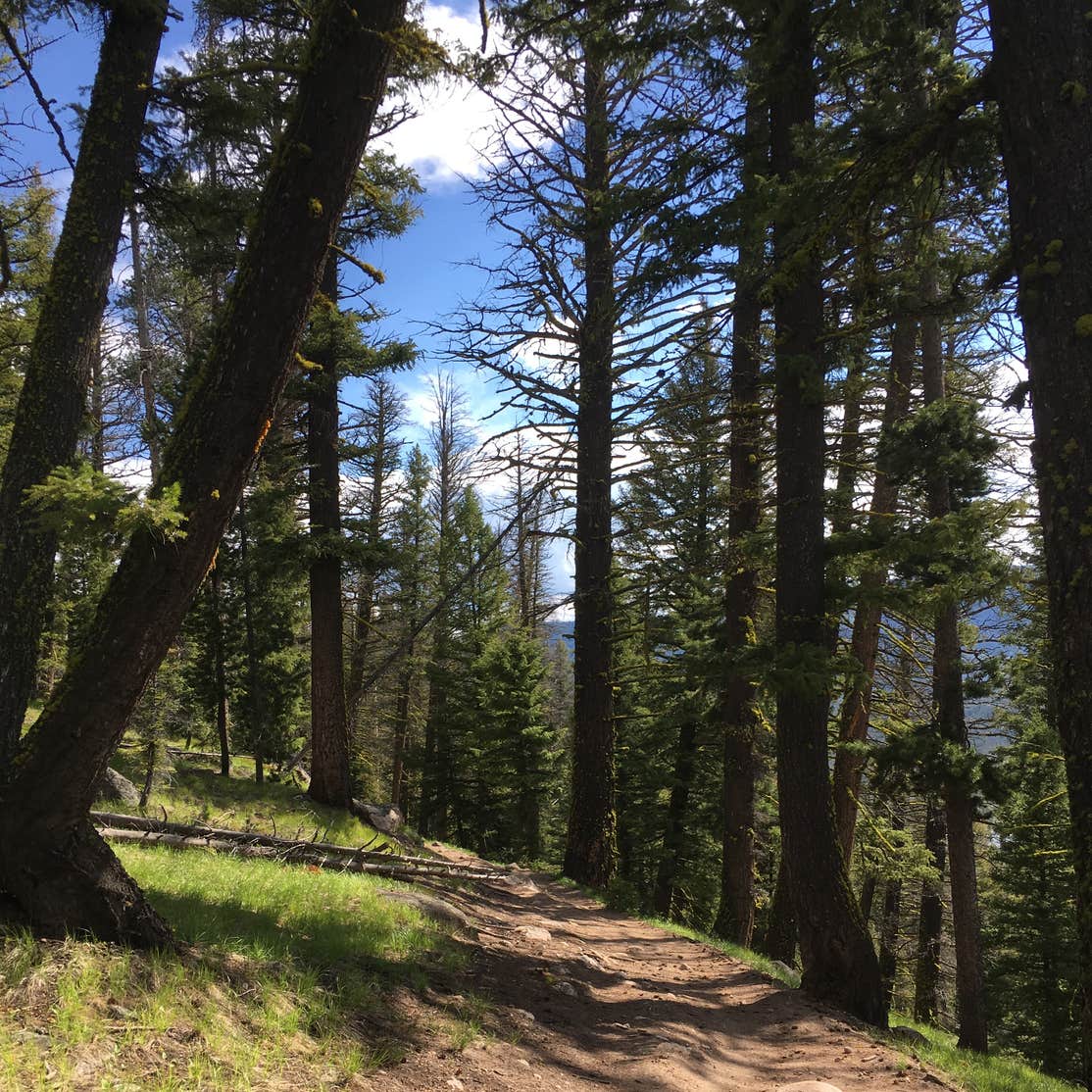 Chinook Bay Campground | Stanley, ID