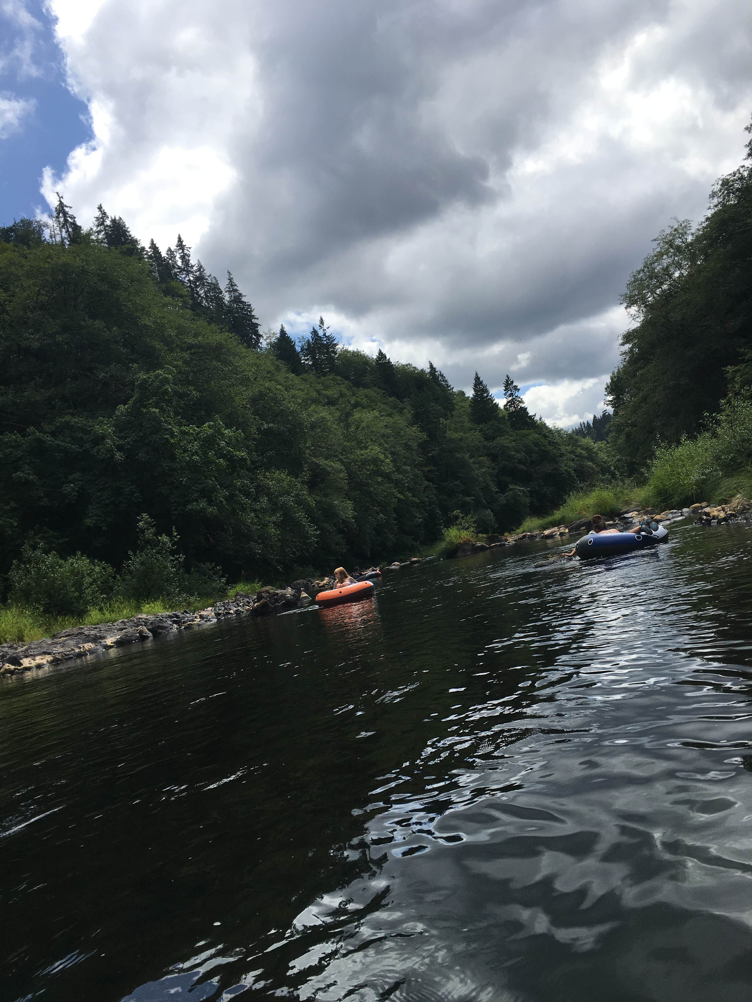 Henry Rierson Spruce Run Campground | The Dyrt
