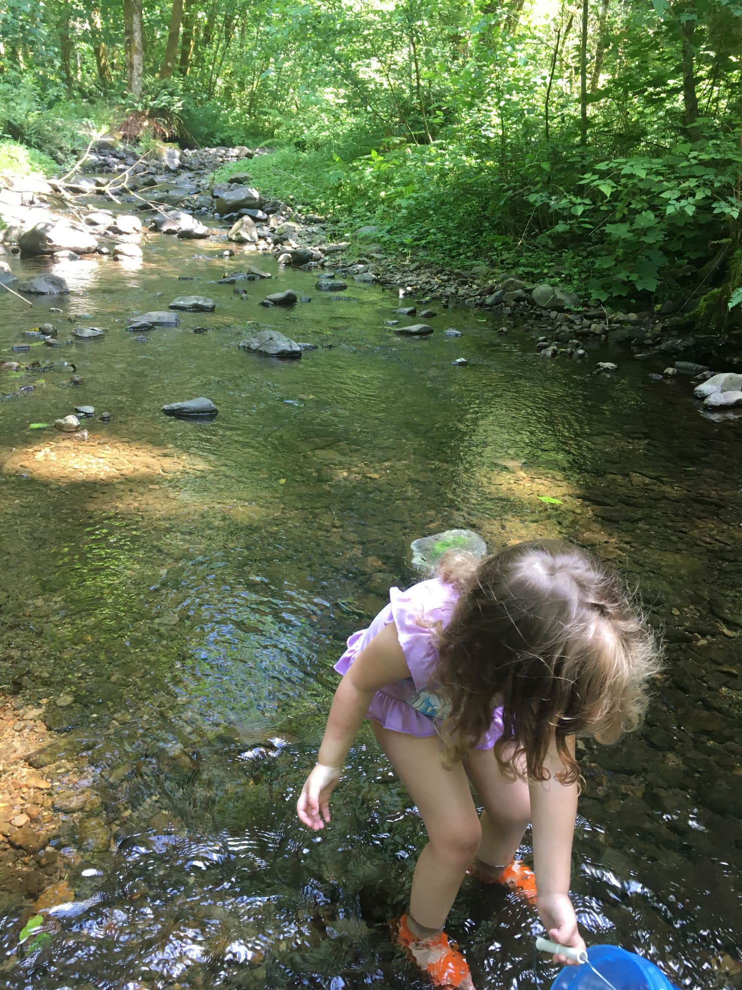 Henry Rierson Spruce Run Campground | The Dyrt