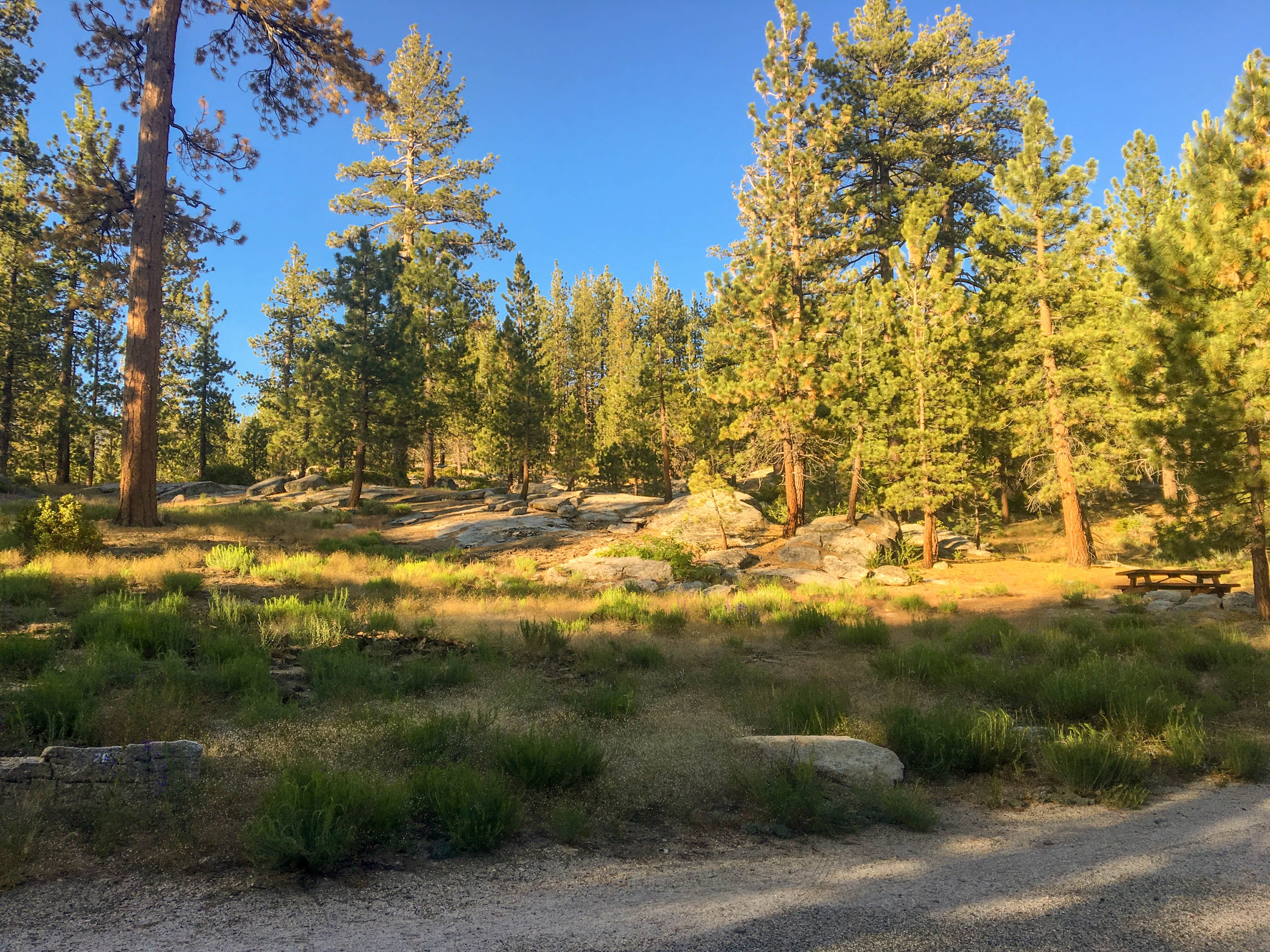 Horse Meadow Campground | Johnsondale, CA