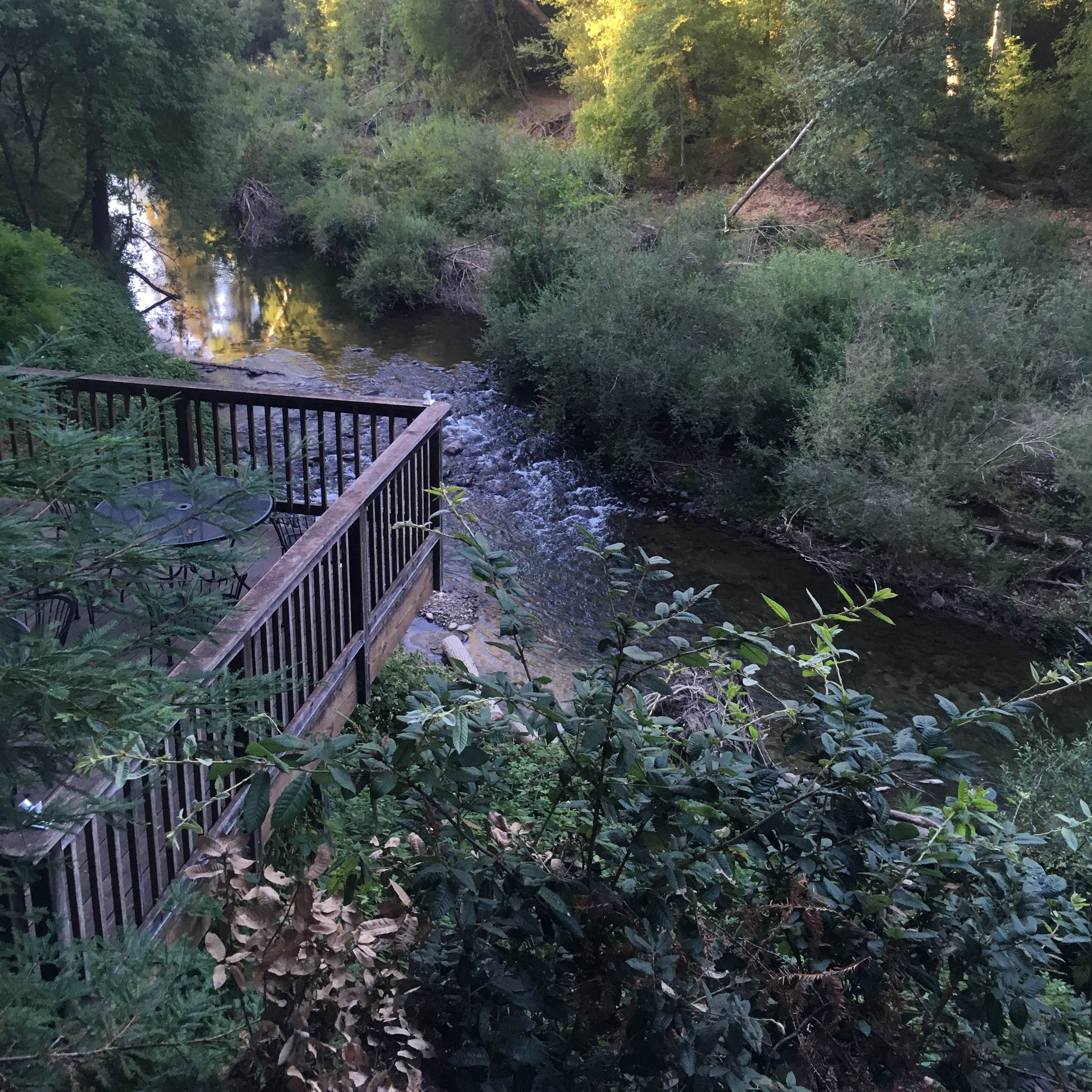 Santa Cruz Redwoods RV Resort Camping | The Dyrt