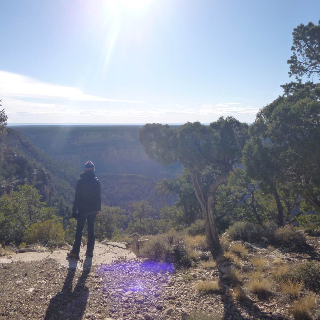 Desert View Campground Camping | The Dyrt