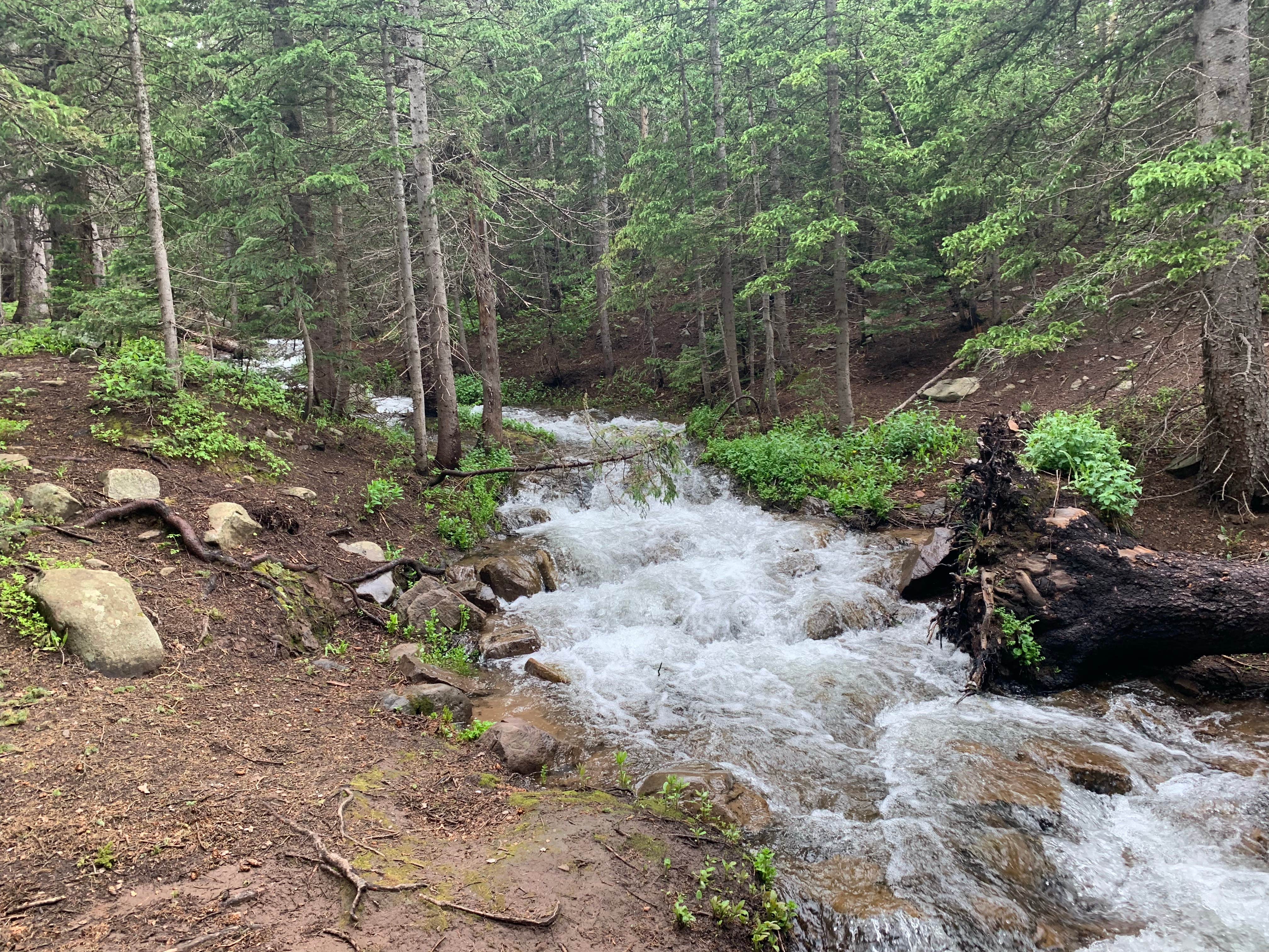 Blue Lake Campground | The Dyrt