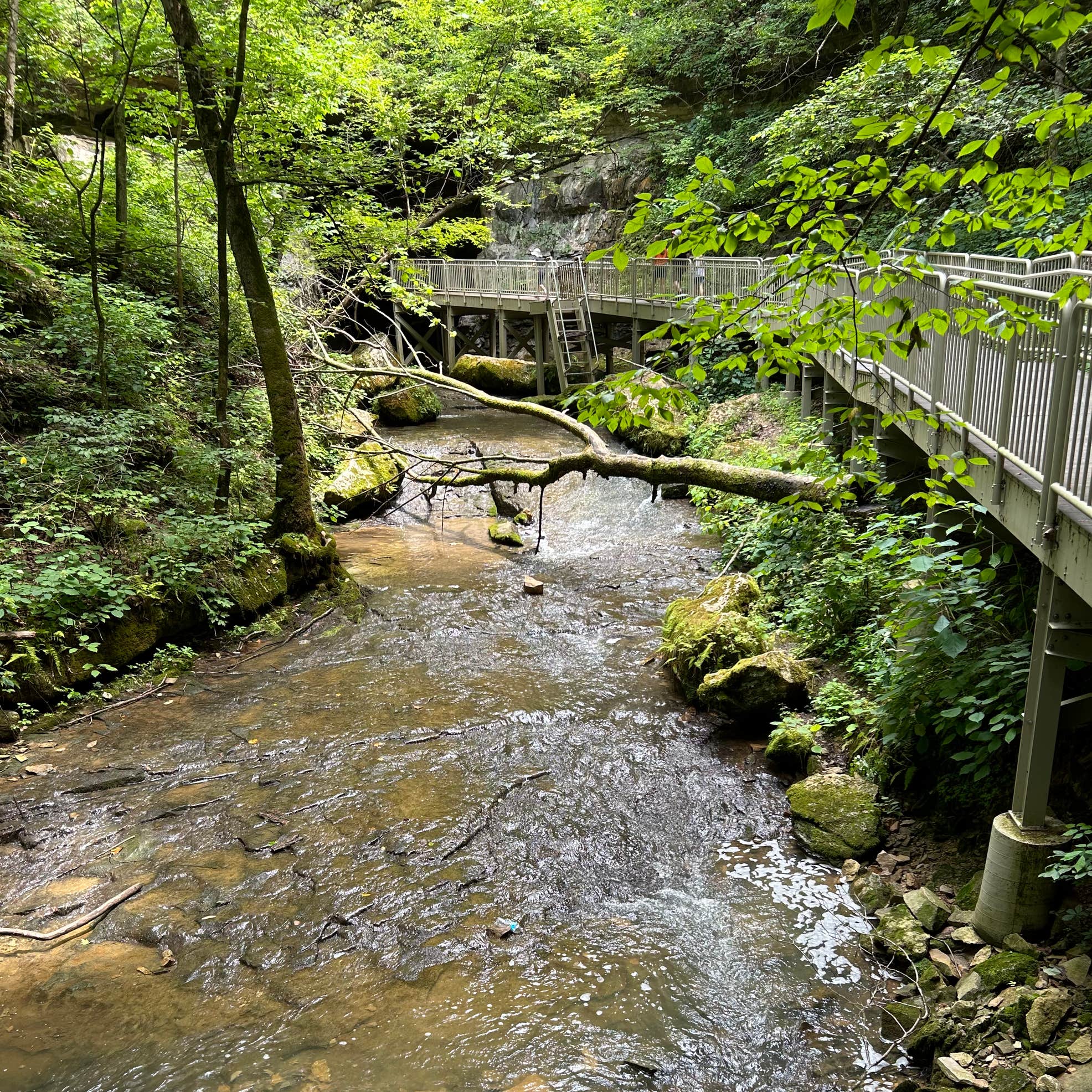 Spring Mill State Park Campground | Mitchell, Indiana