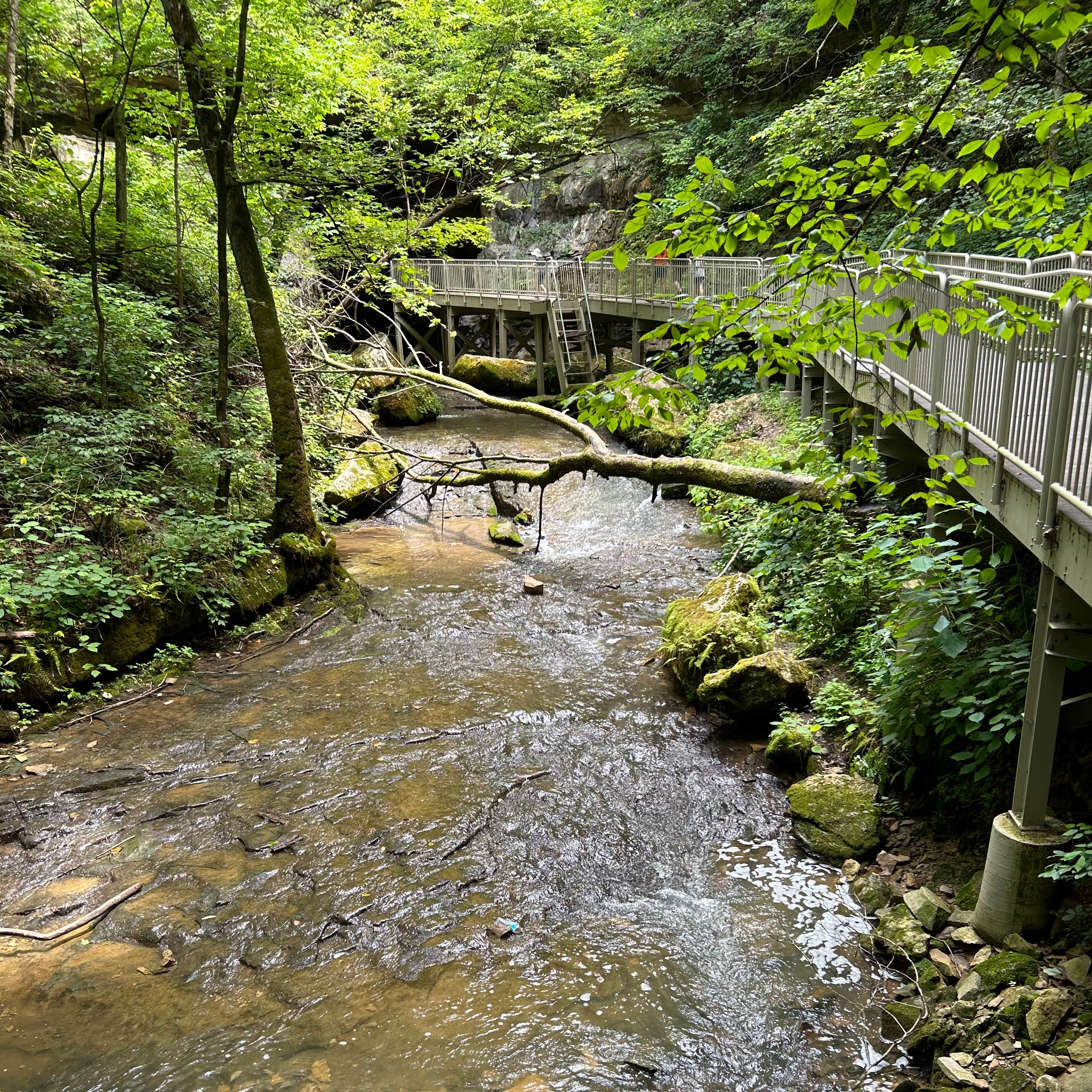 Spring Mill State Park Campground | Mitchell, Indiana