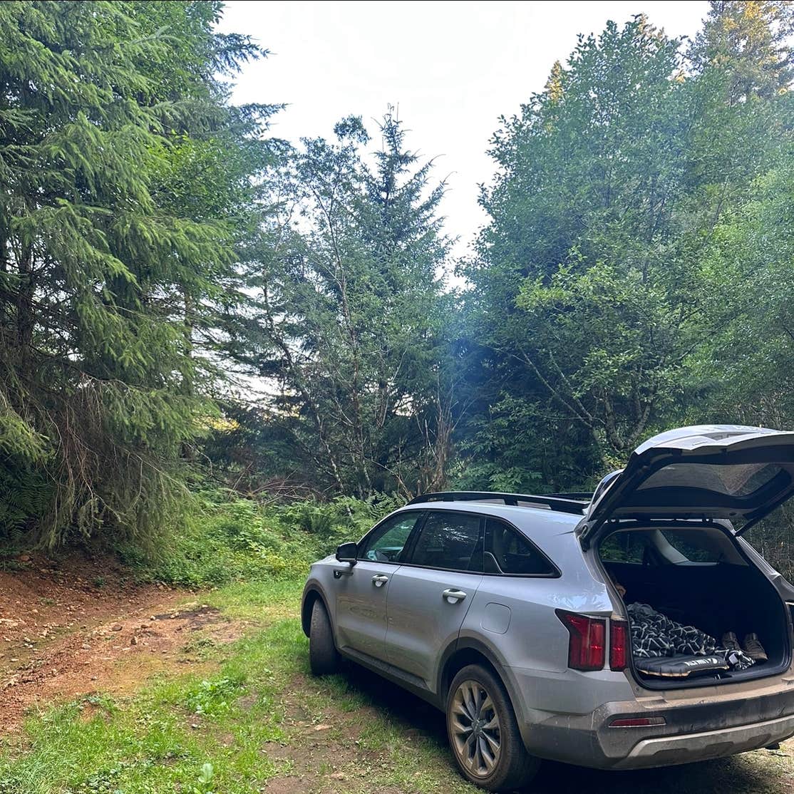 Hebo Road Camping | Beaver, Oregon