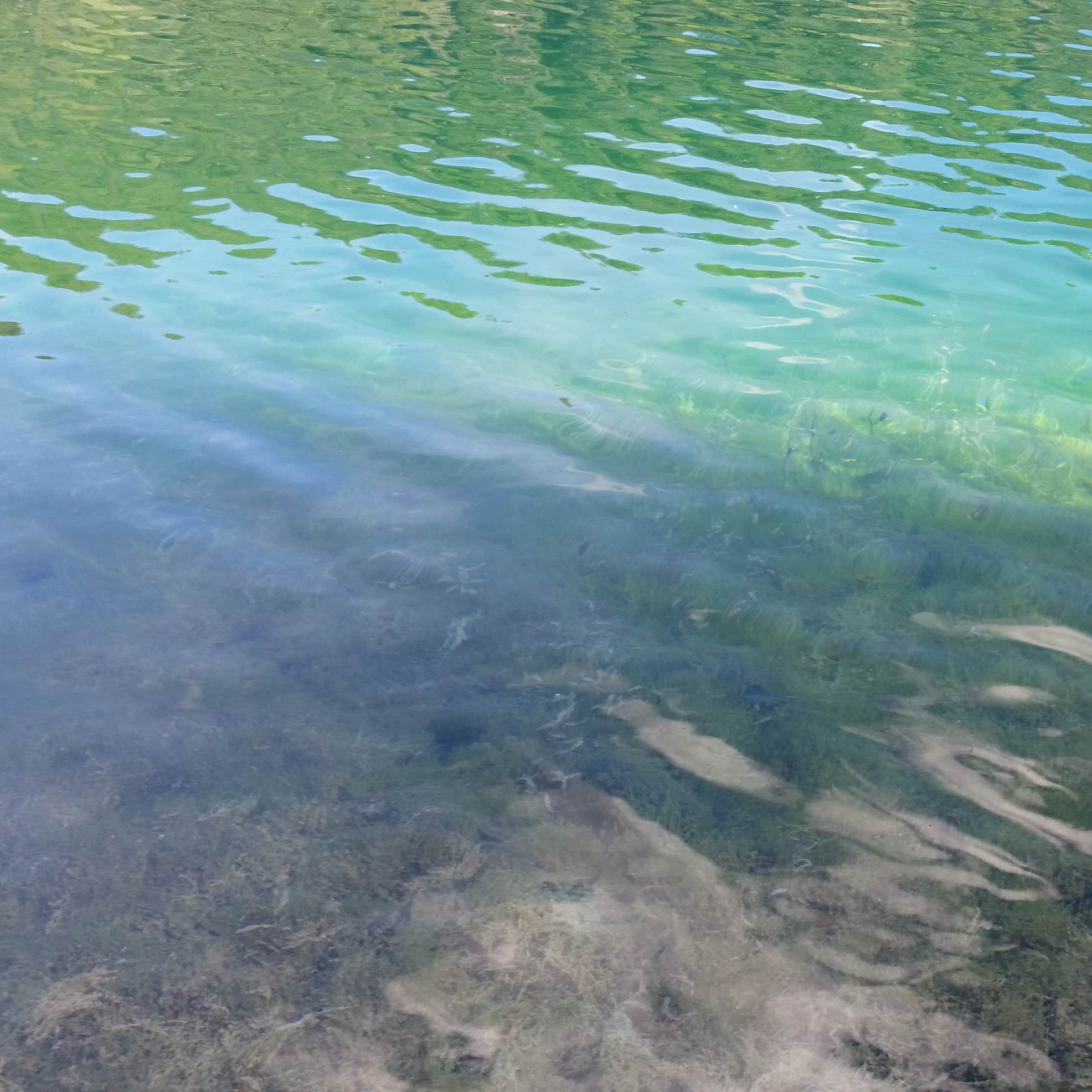 Crescent Lake Campground | Metaline Falls, WA