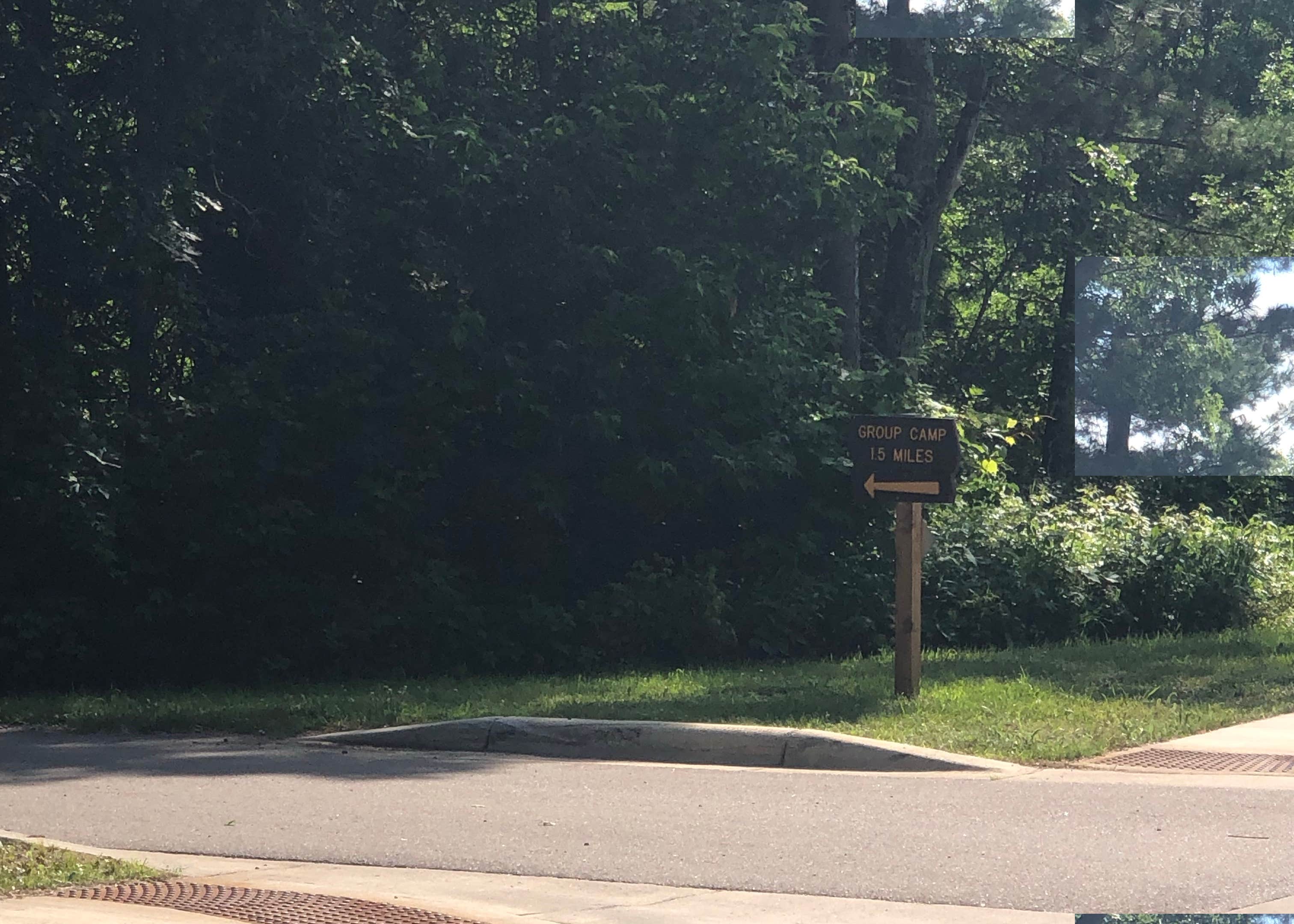 Crow Wing State Park Camping | The Dyrt