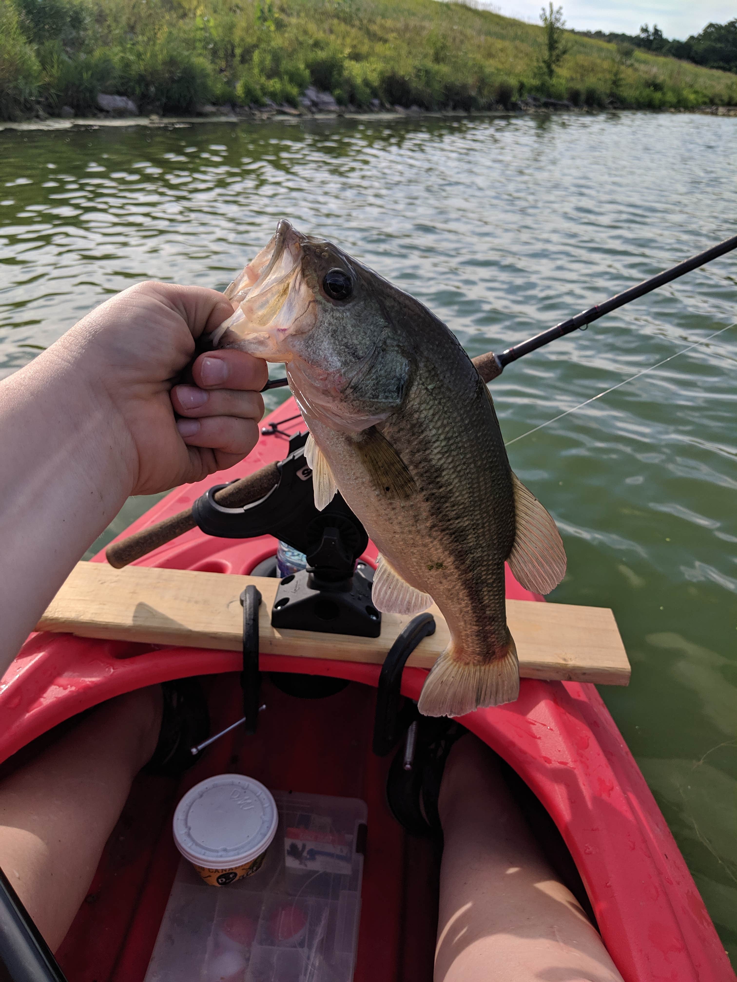 Big Hollow Recreation Area Camping | Sperry, IA