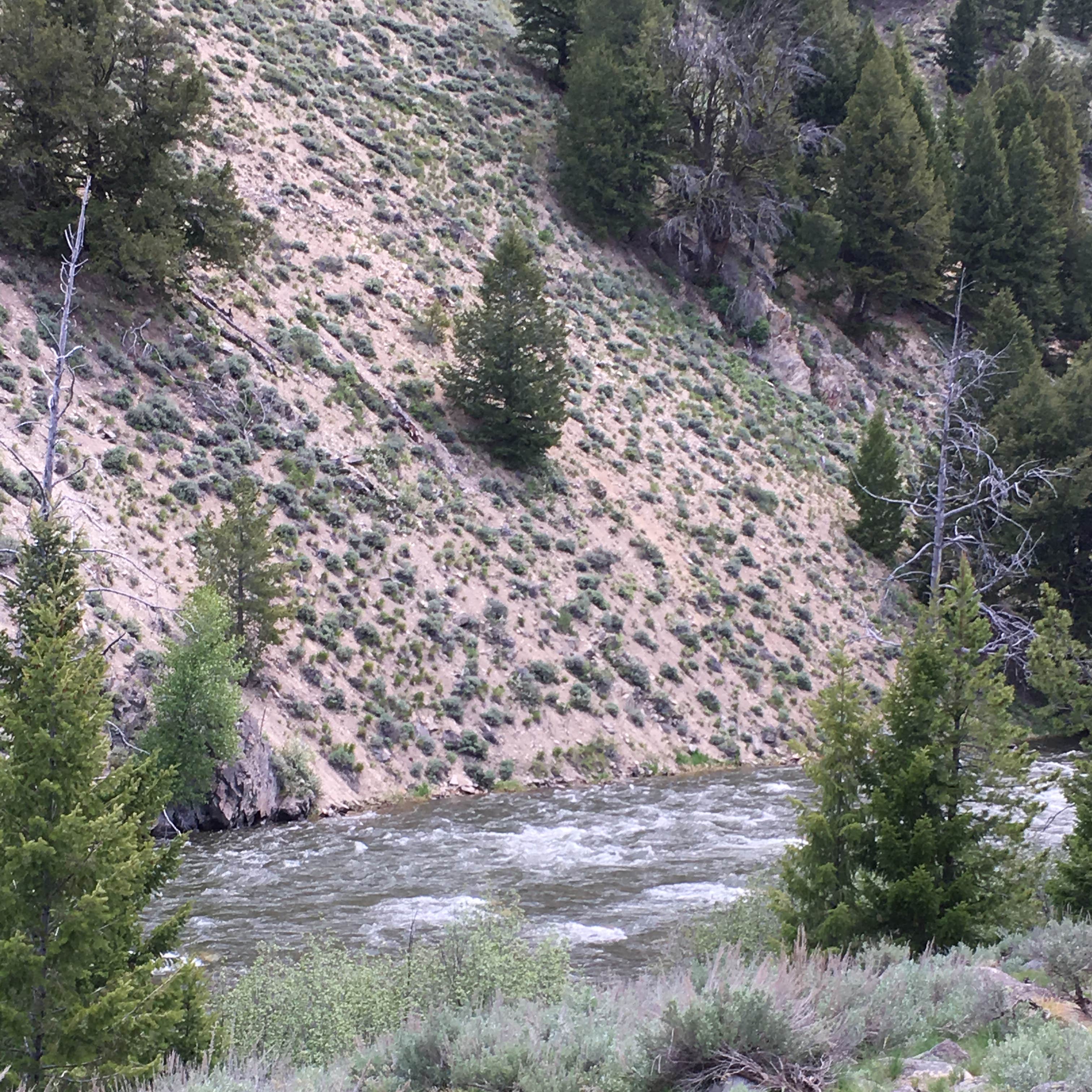 Redfish Lake Overflow Dispersed Camping | The Dyrt