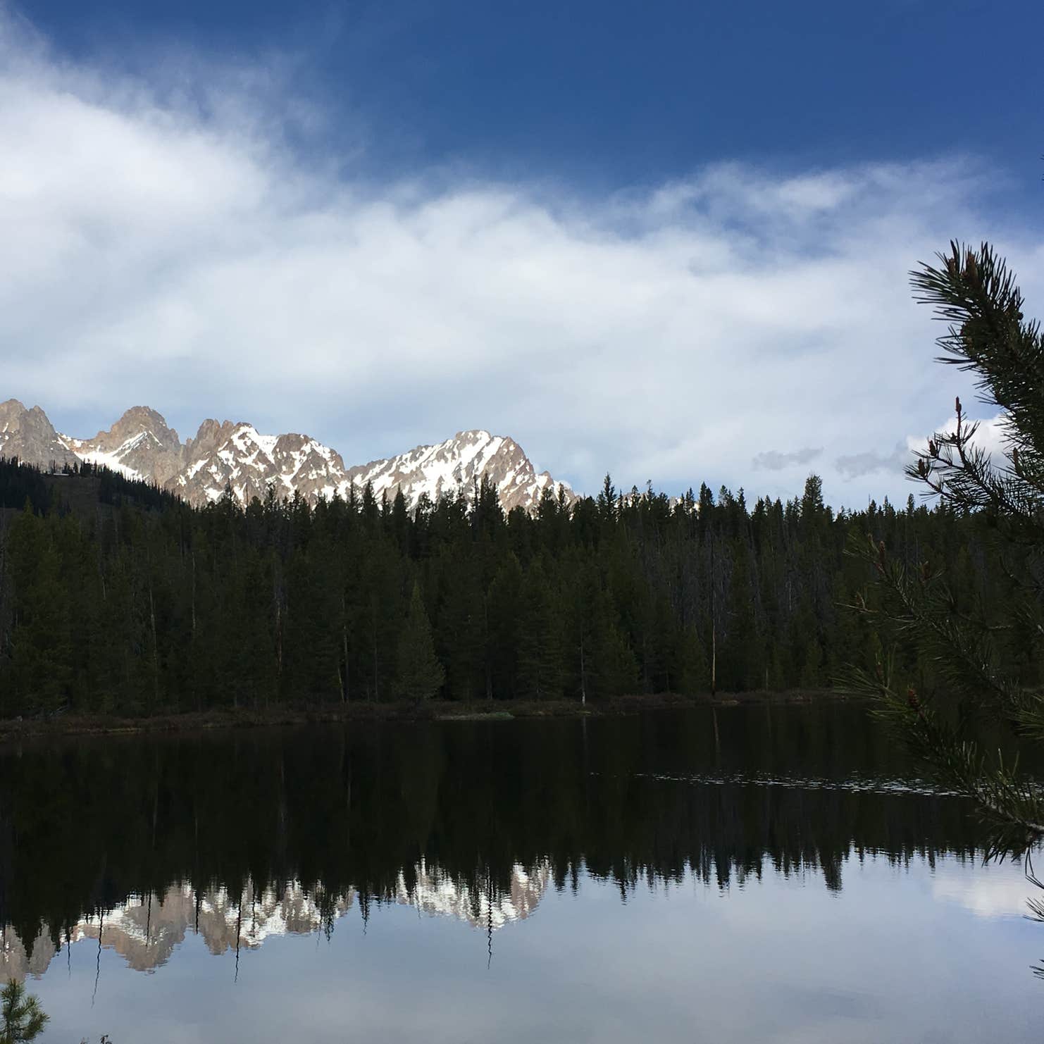 Redfish Lake Overflow Dispersed Camping | The Dyrt