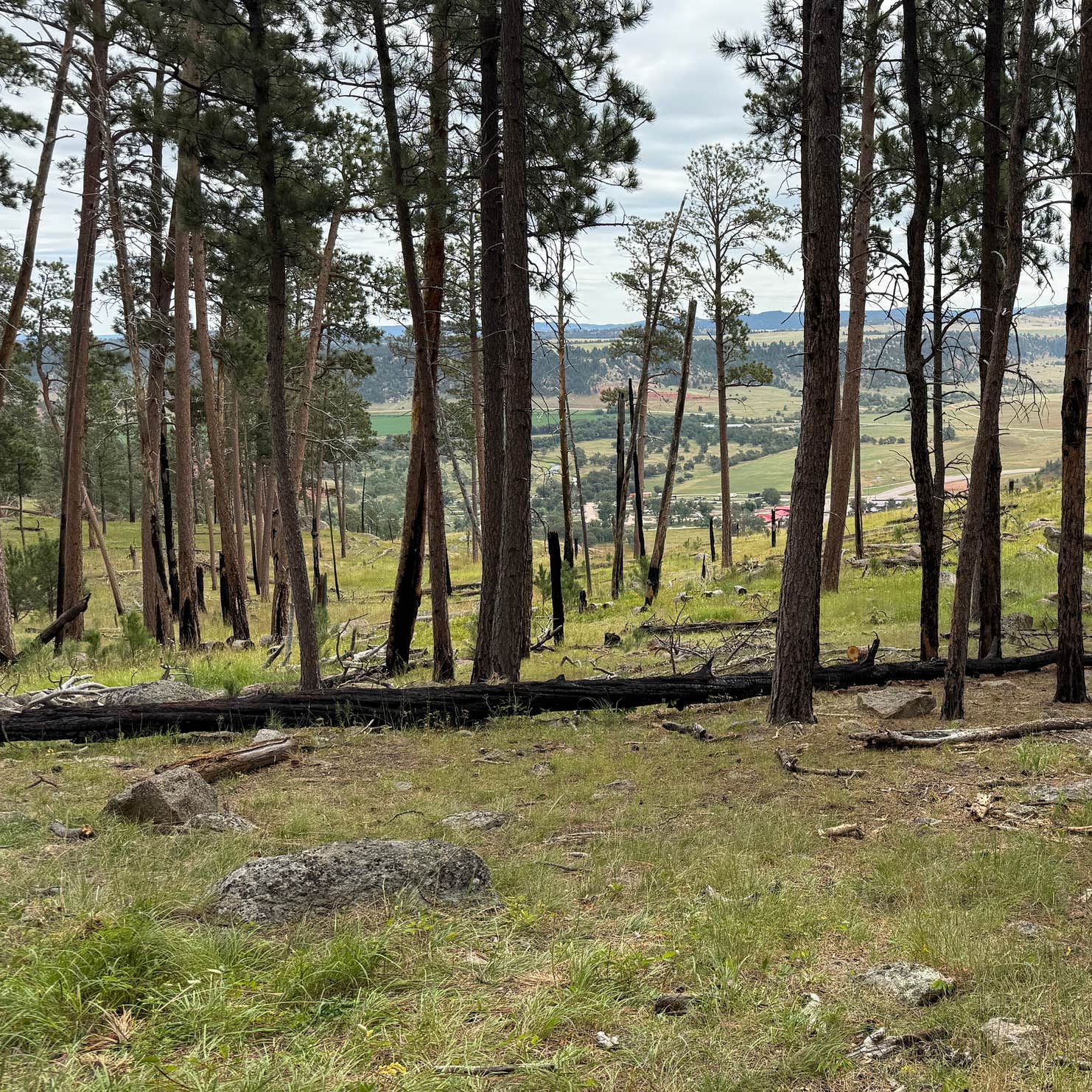Devils Tower KOA Camping | Devils Tower, Wyoming