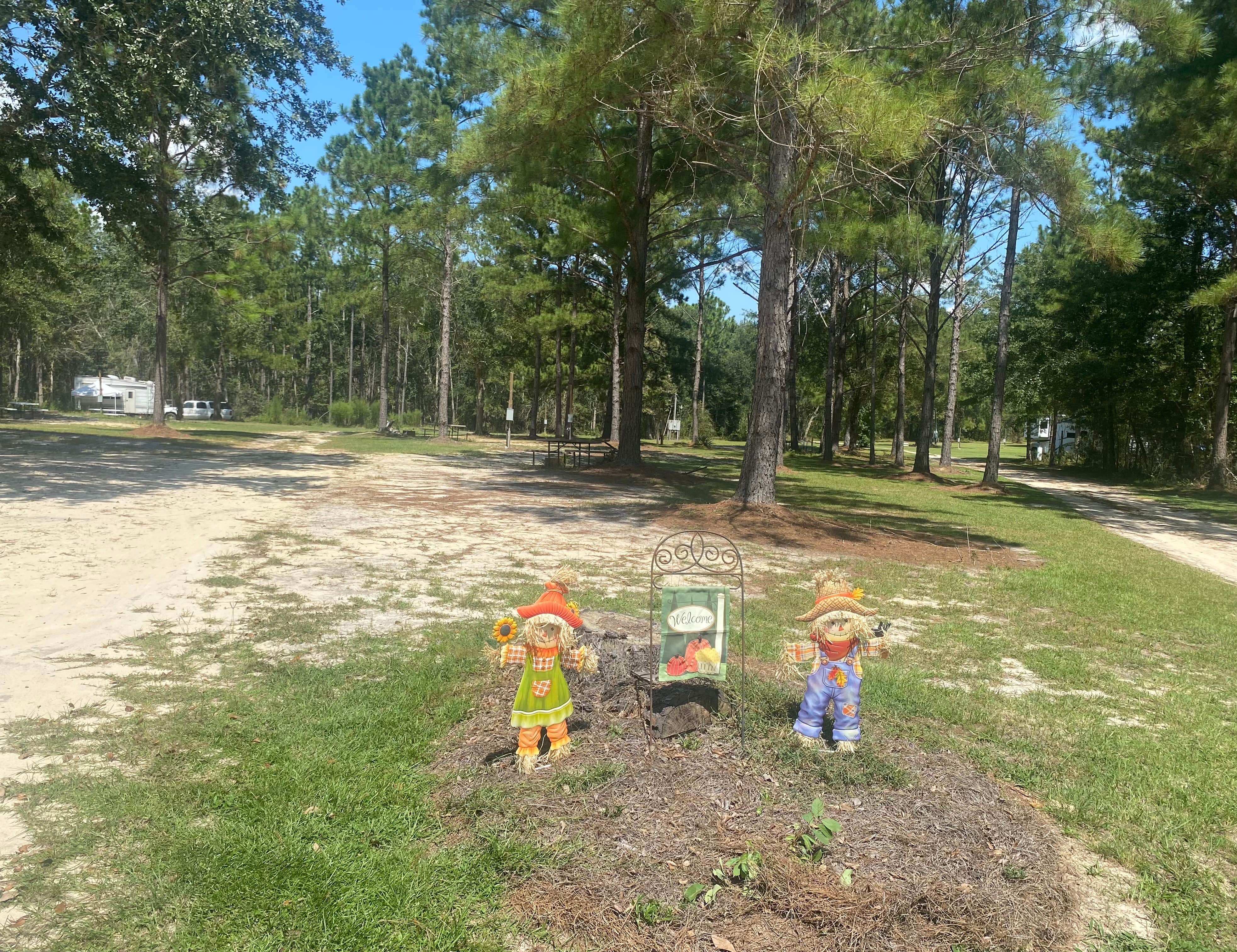 Shady Pines RV Park | Baxley, Georgia