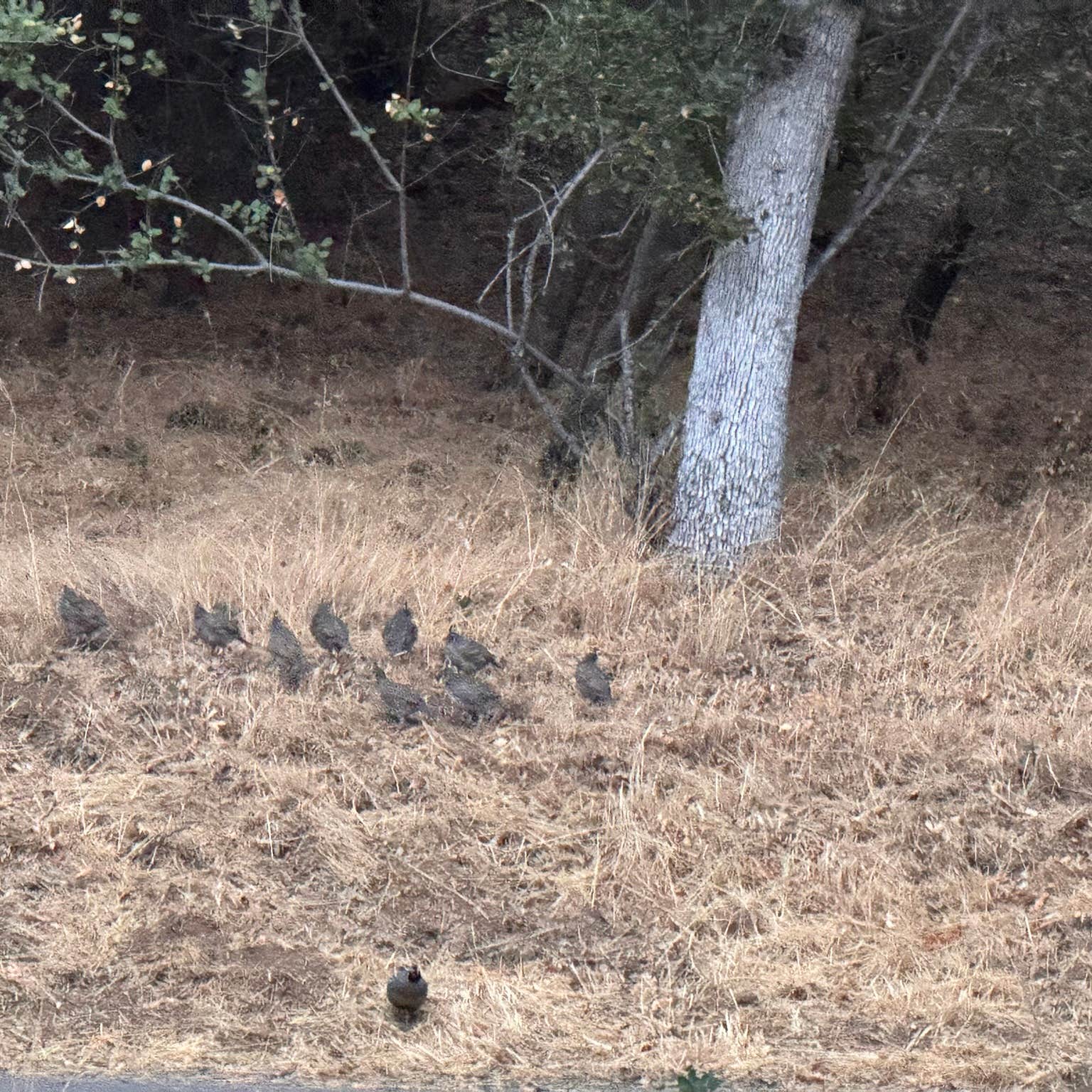 Potwisha Campground — Sequoia National Park | Kaweah, California