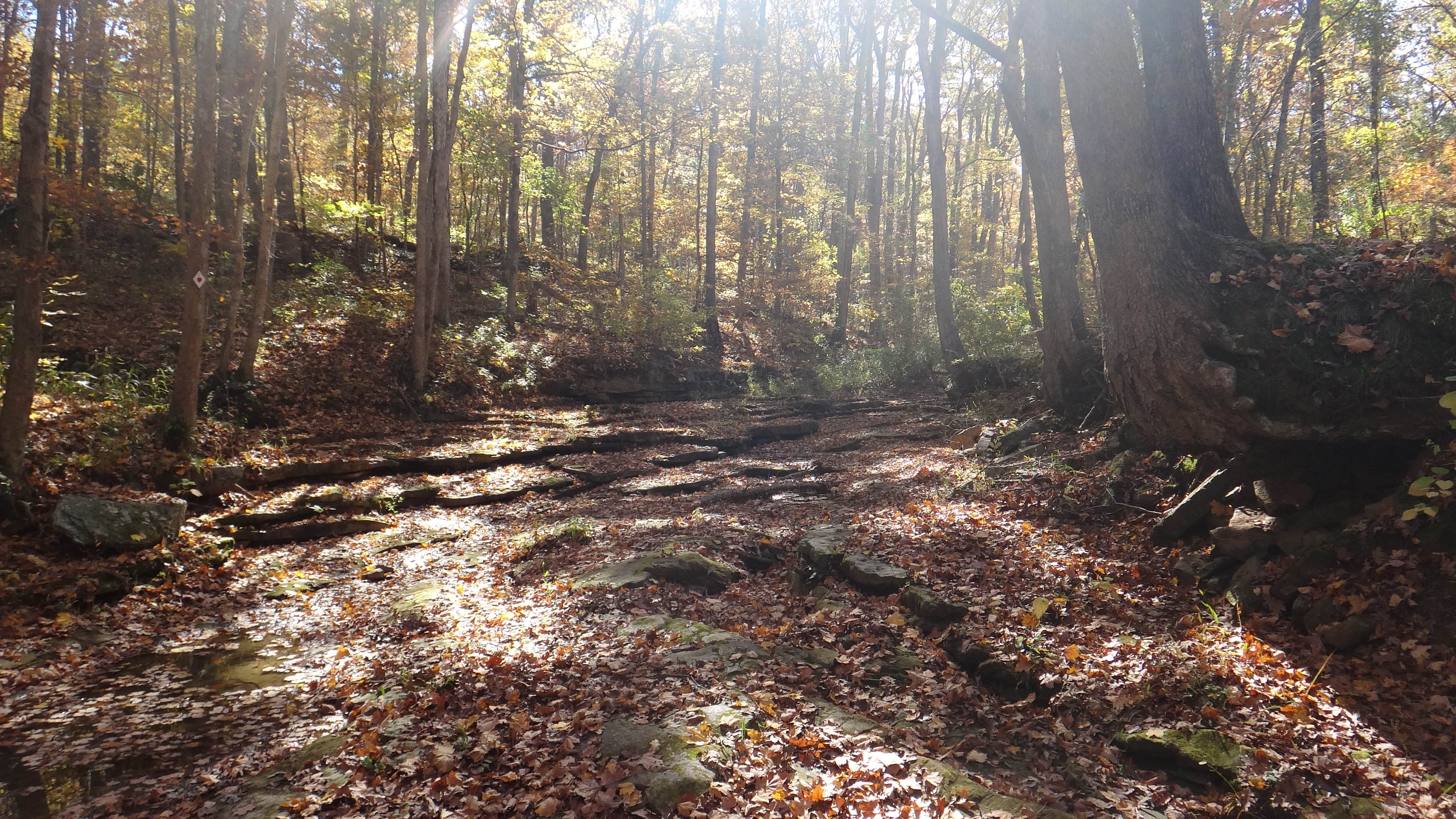 Giant City State Park Campground | Makanda, Illinois