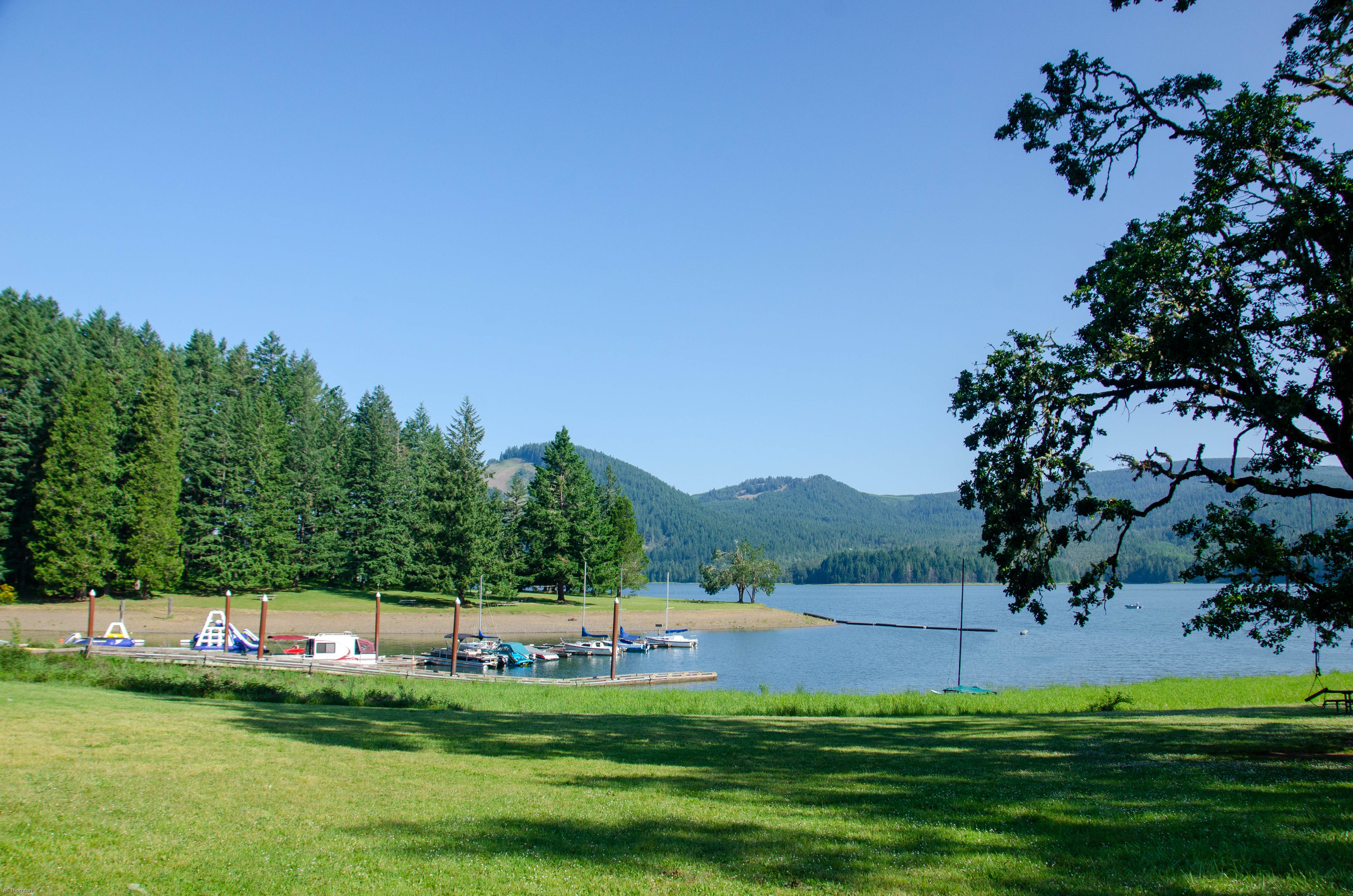 Baker Bay Campgrounds & Marina - a Lane County Park | Dorena, OR