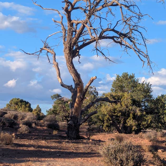 Horsethief Campground | Moab, Utah