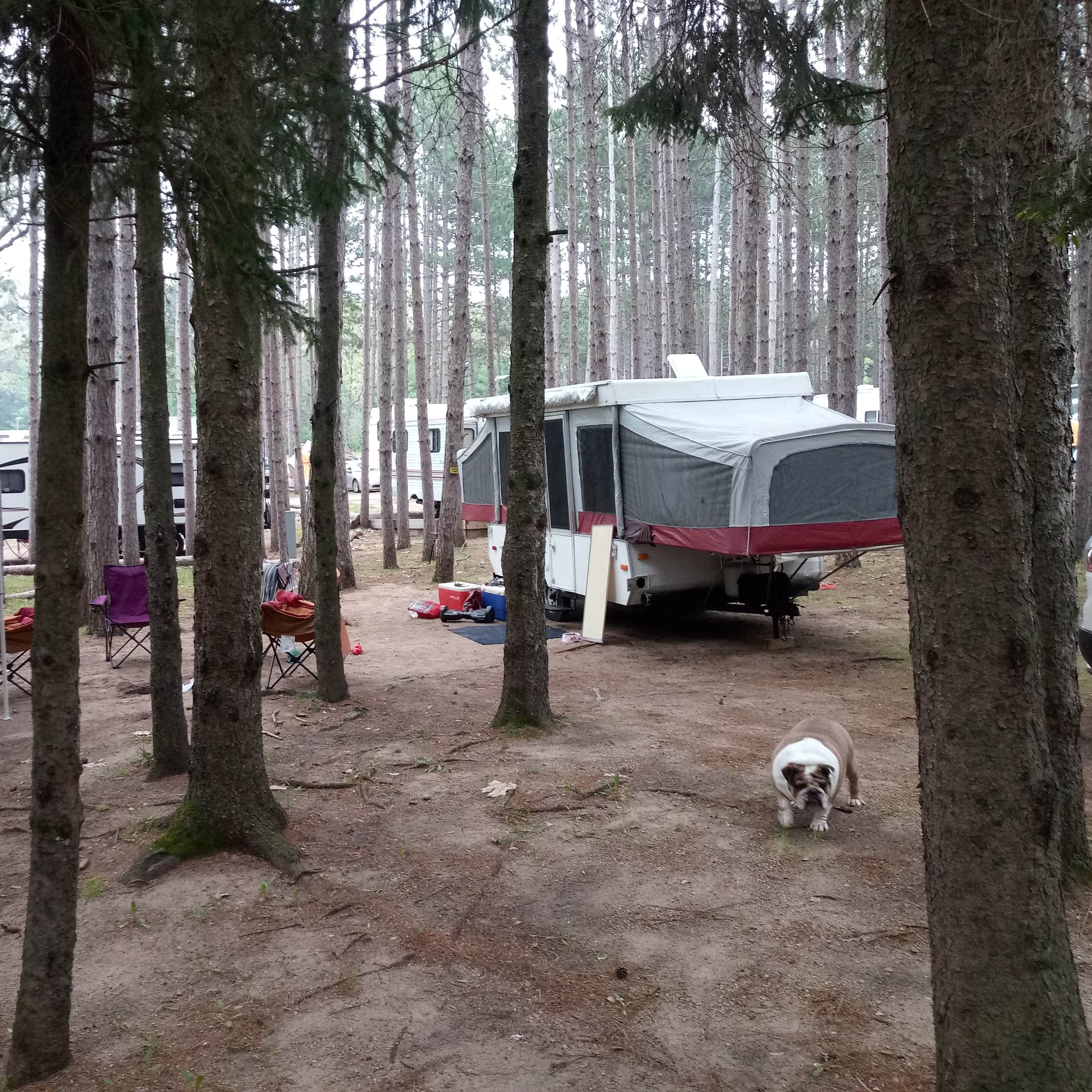 Pearl Lake RV Campground | Wautoma, Wisconsin