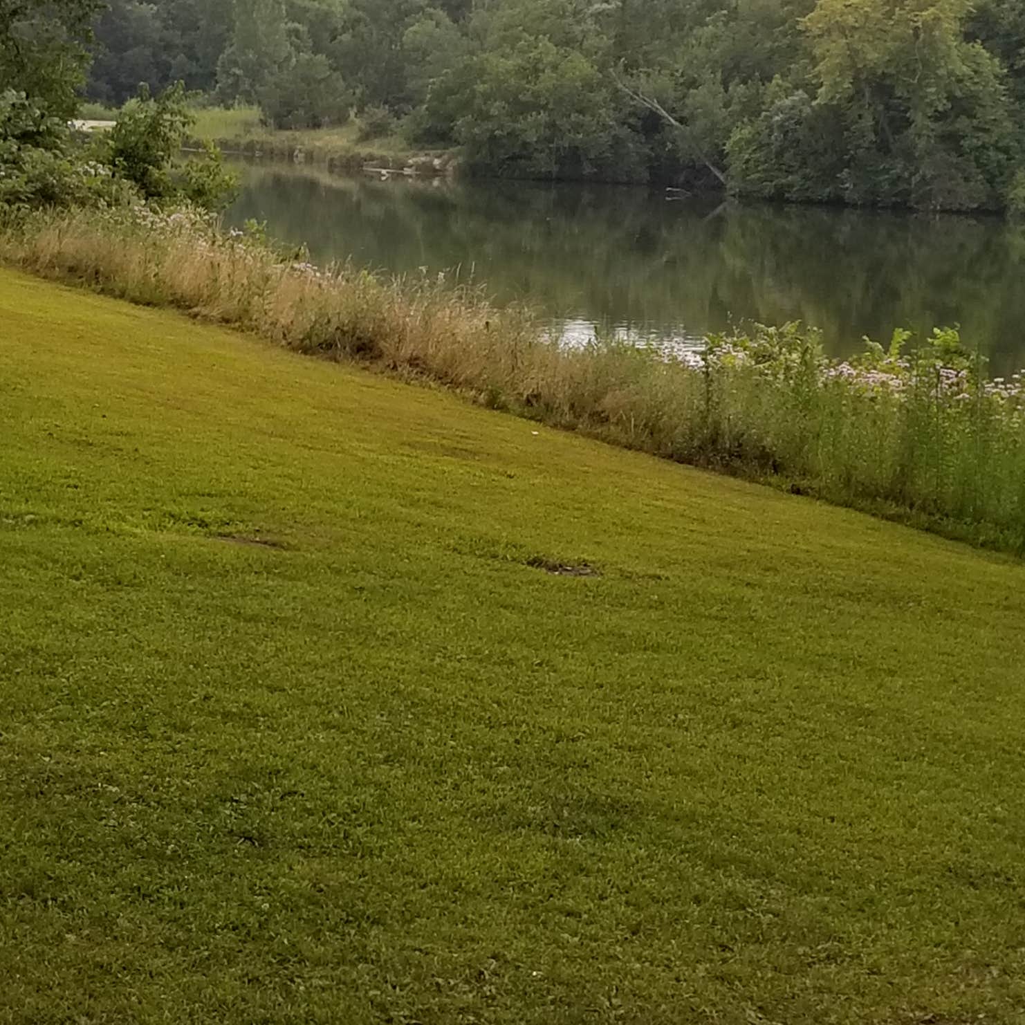 Don Williams Park Camping | Ogden, IA