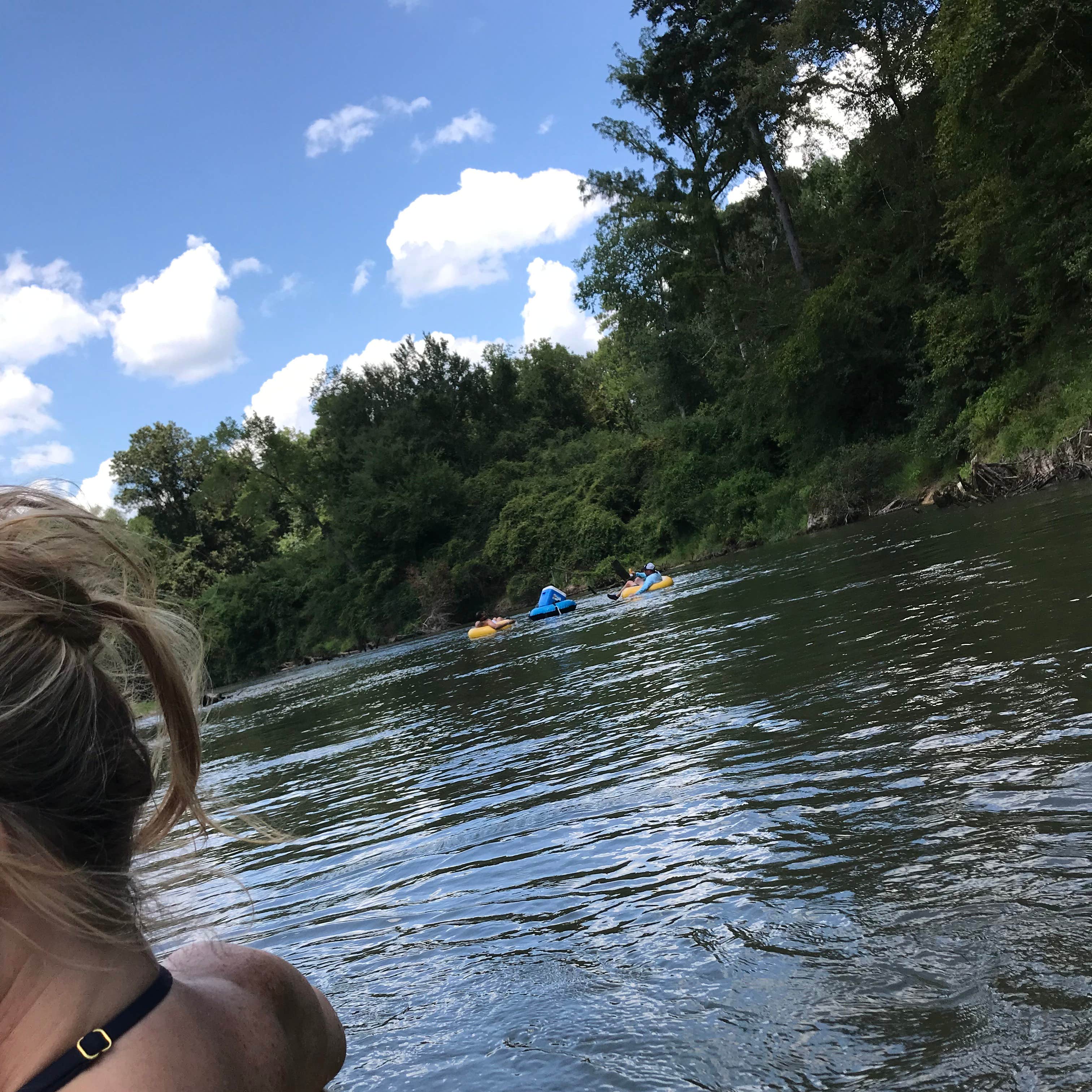 Paradise Ranch RV Resort Camping | The Dyrt