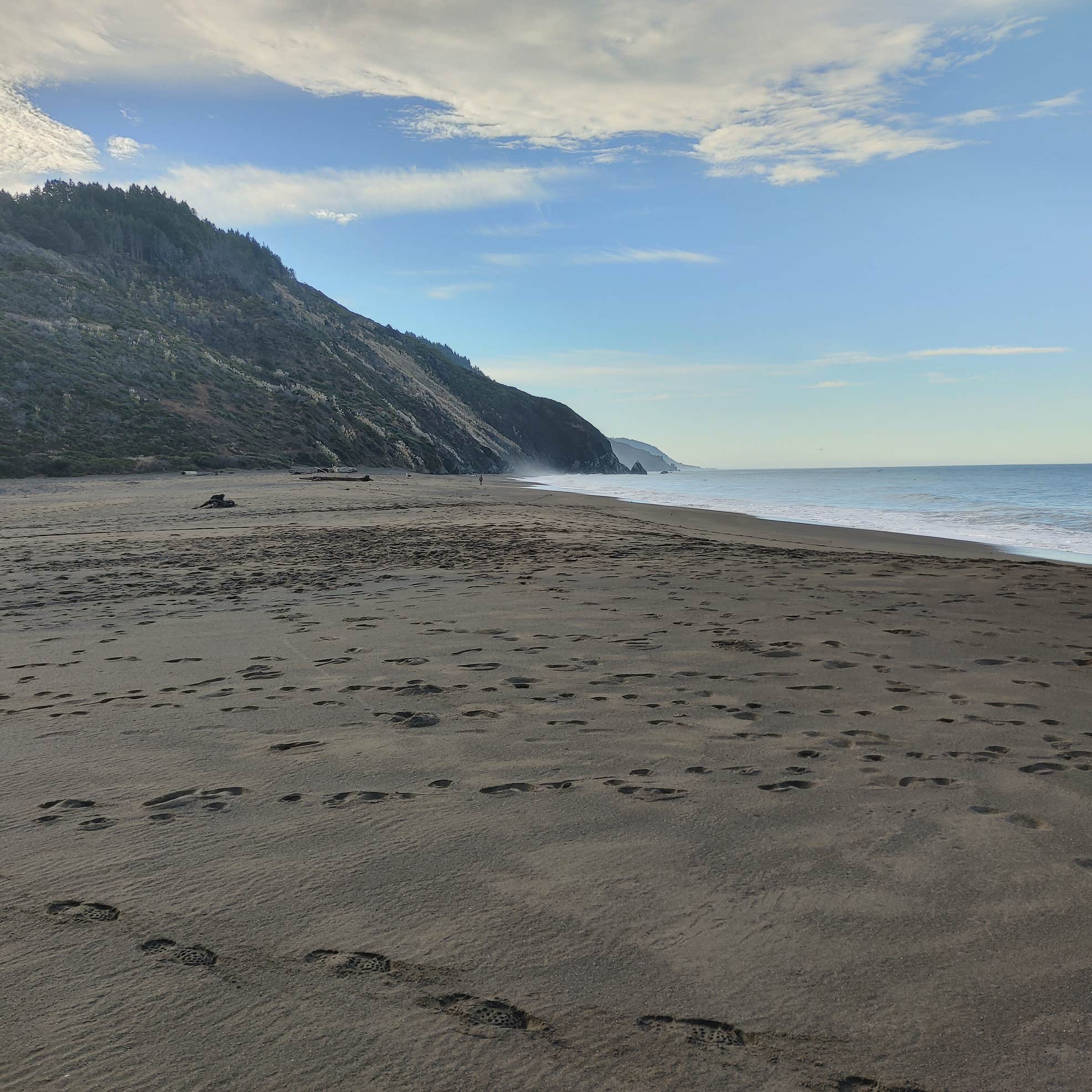 Usal Beach Campsites — Sinkyone Wilderness State Park | Leggett, California