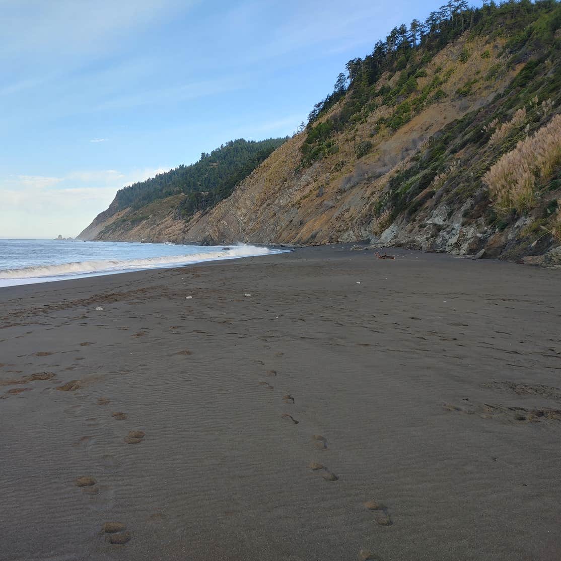 Usal Beach Campsites — Sinkyone Wilderness State Park | Leggett, California