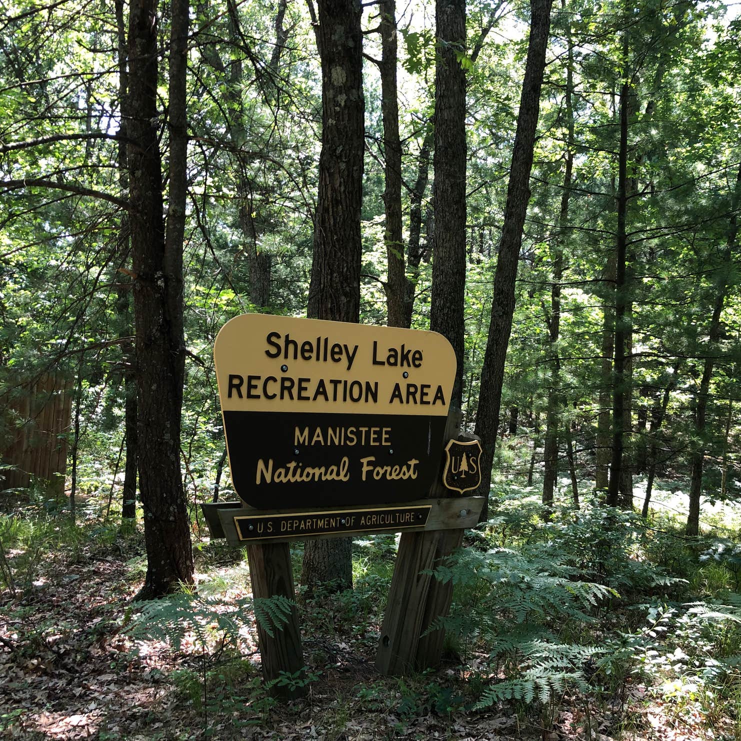 Shelley Lake Campground Camping | The Dyrt