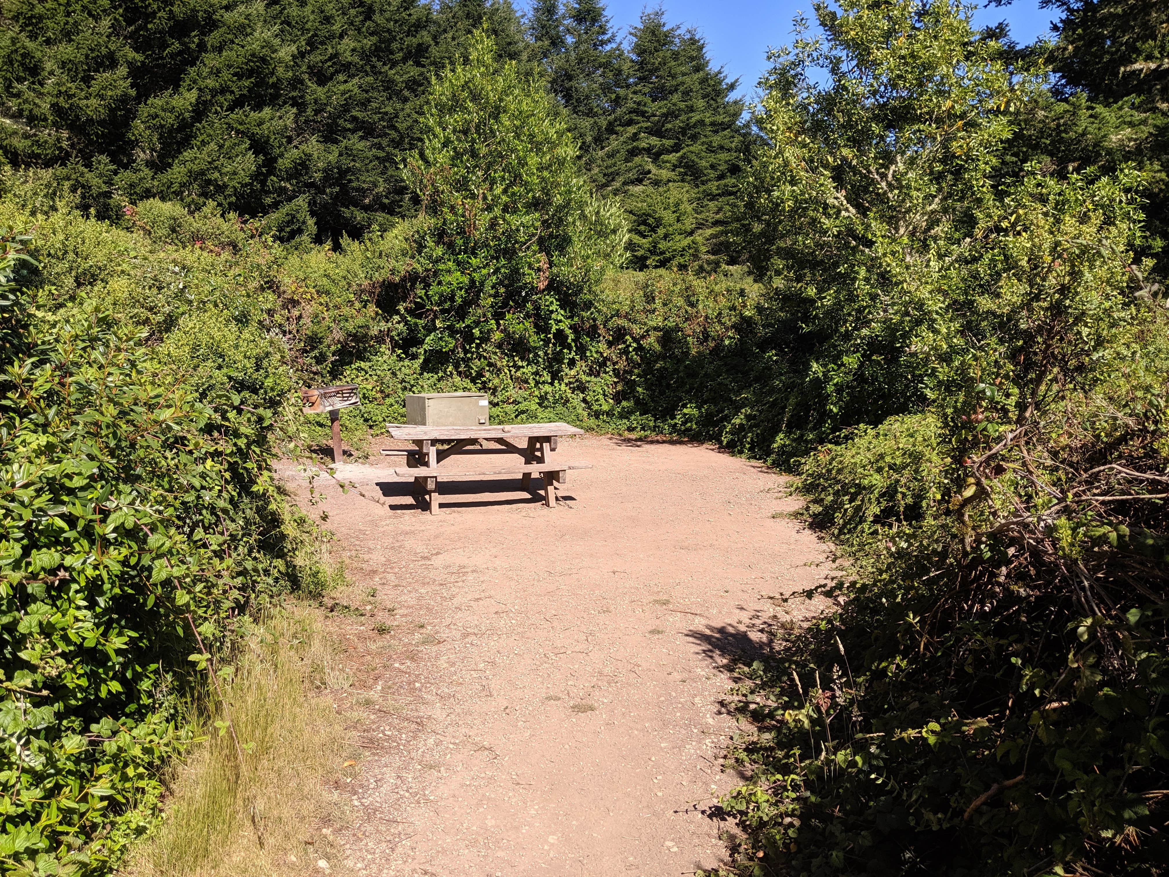 Sky Camp - Point Reyes NS | The Dyrt