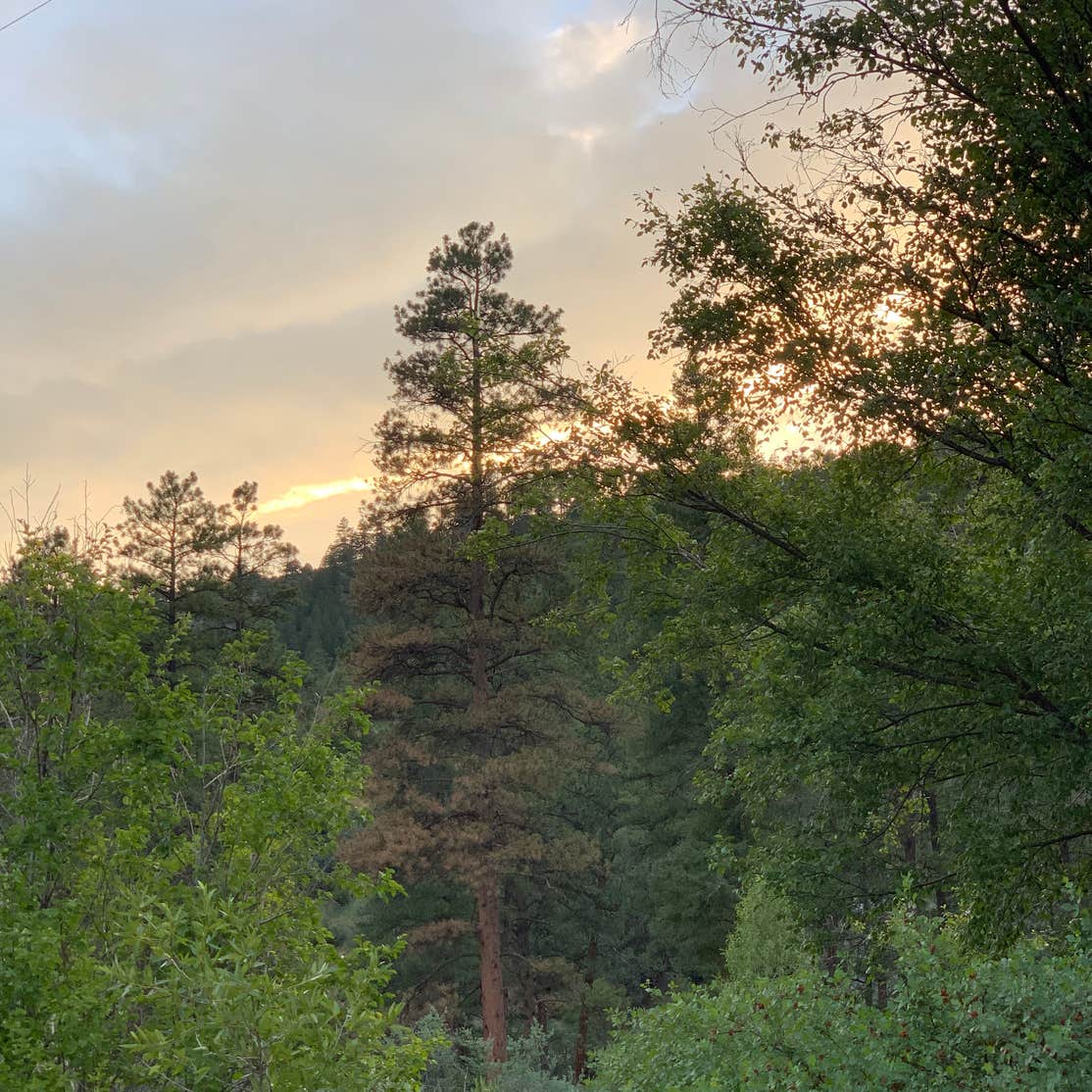 Lower Piedra Campground | Bayfield, NM