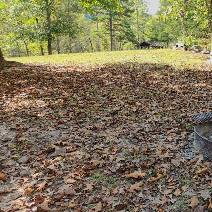Barkshed Recreation Area Camping | Fifty-Six, Arkansas