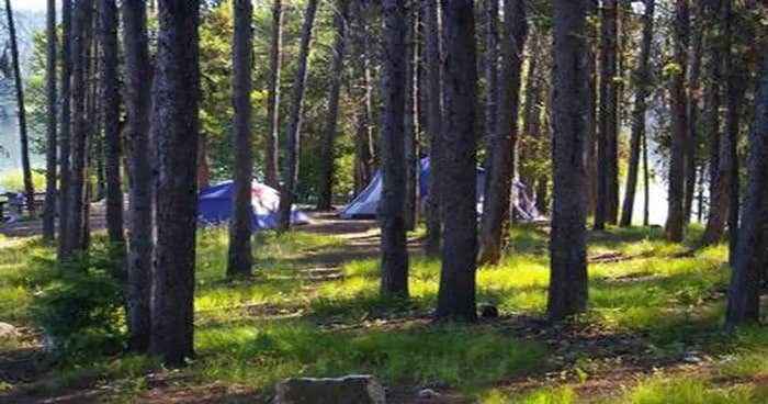 Boise National Forest Cozy Cove Campground | Lowman, Idaho