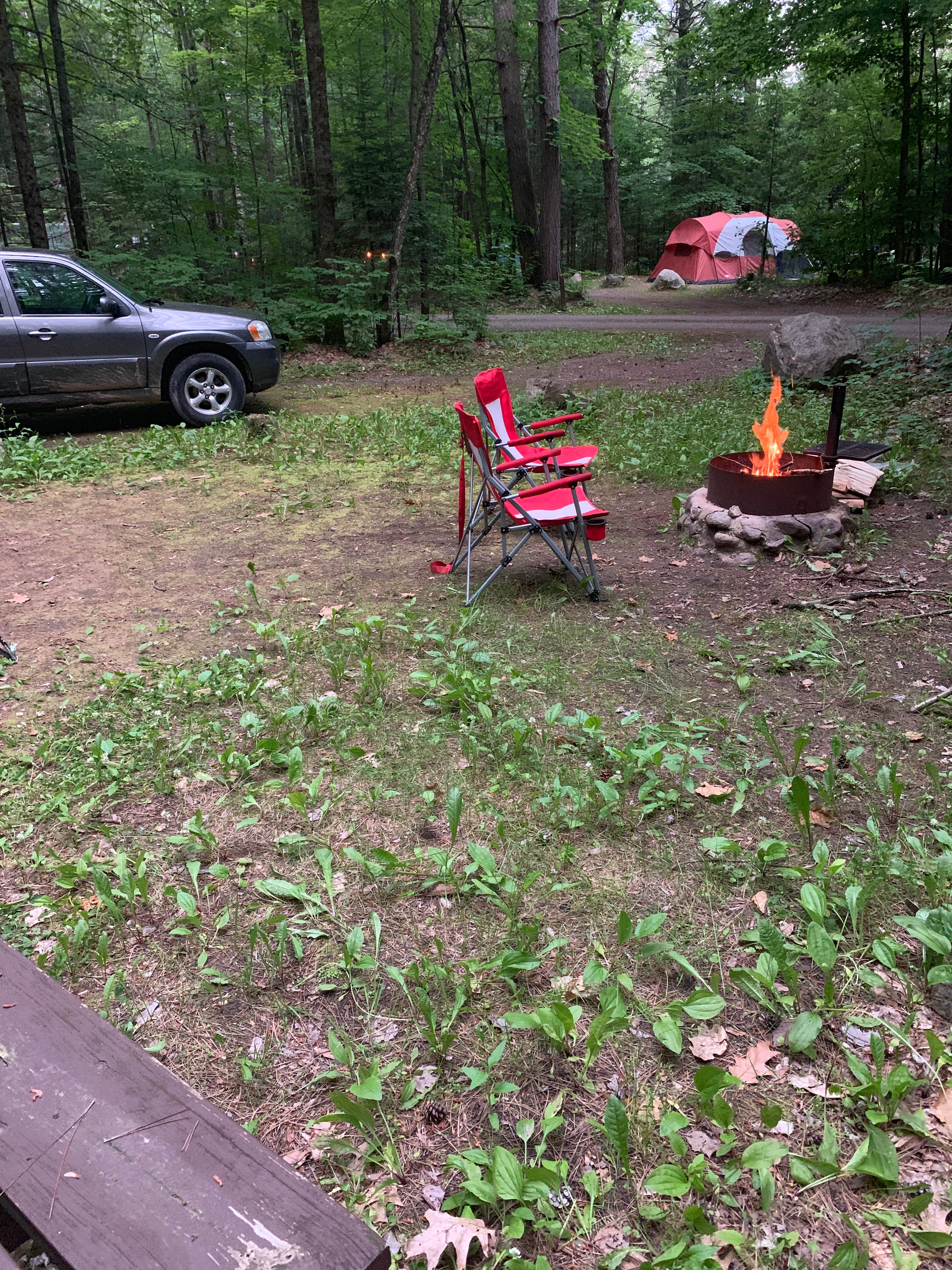 Chequamegon-Nicolet/Bagley Rapids | The Dyrt