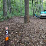 Gunner Pool Recreation Area Camping | Fifty-Six, Arkansas