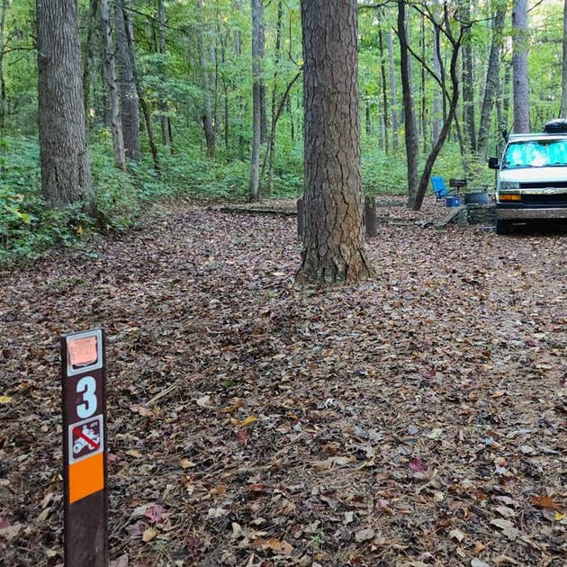 Gunner Pool Recreation Area Camping | Fifty-Six, Arkansas