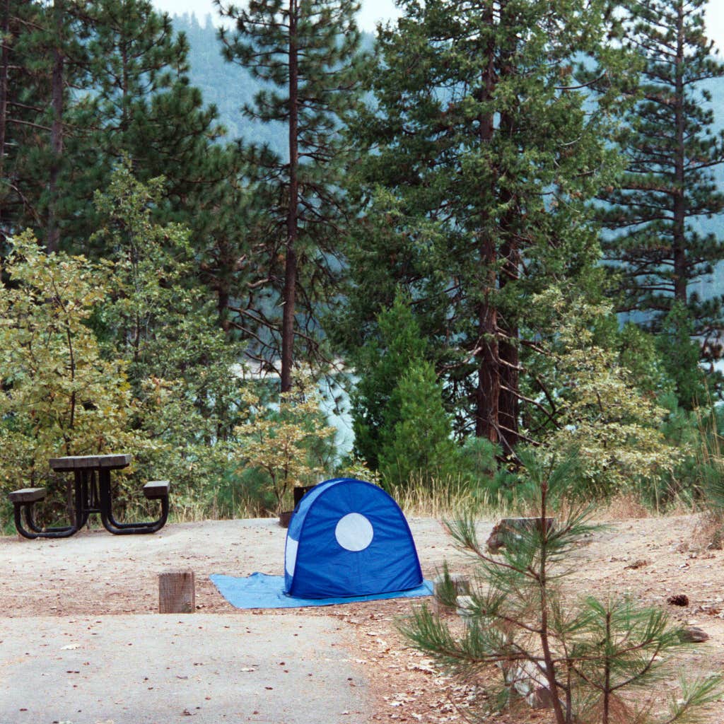 Bass Lake Recreation Area Rudy Camping | The Dyrt