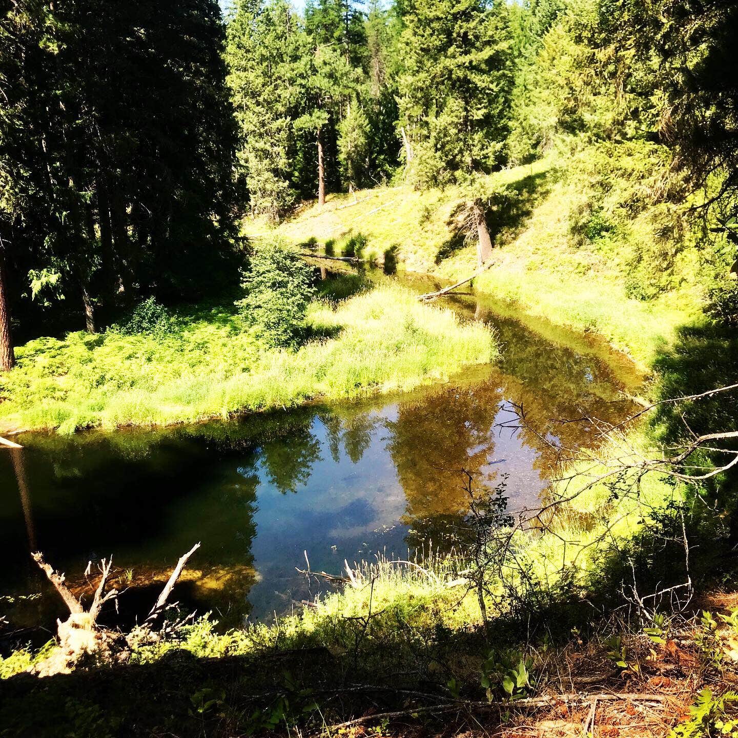 Round Lake State Park Campground | Sagle, ID