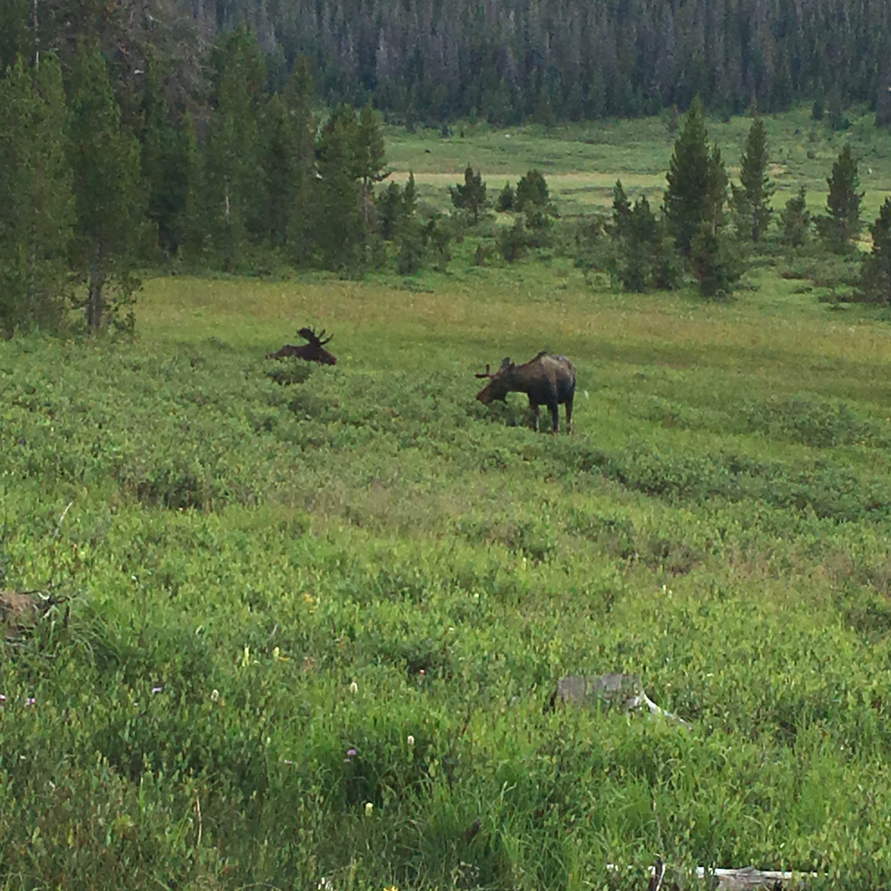 Grandview Campground | Gould, Colorado