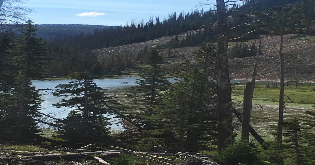 Grandview Campground | Gould, Colorado
