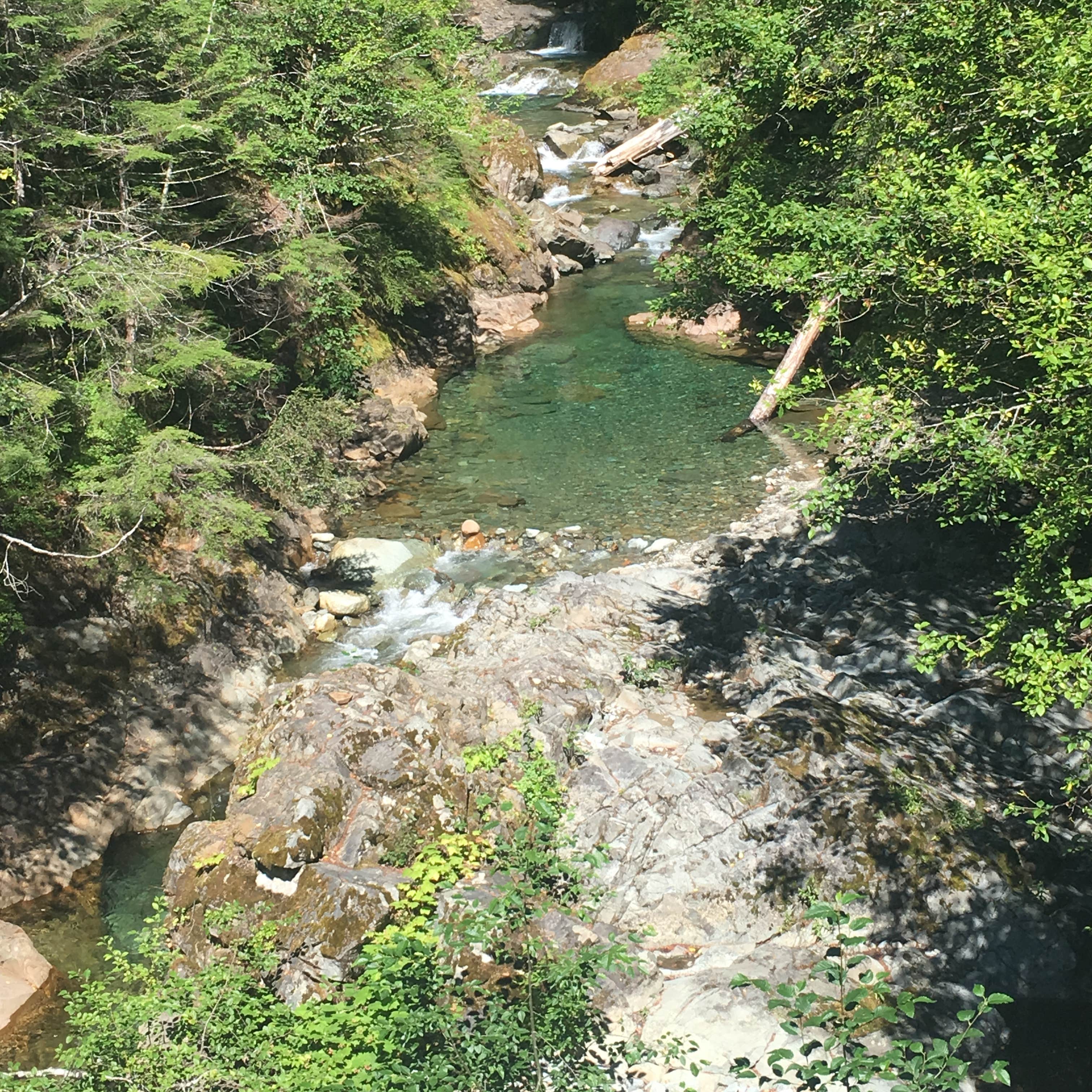 Packwood RV Park & Campground | Packwood, Washington