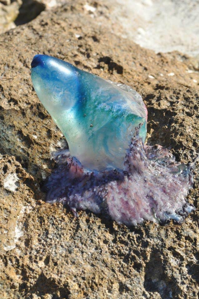 Elliott Key - Biscayne National Park | The Dyrt