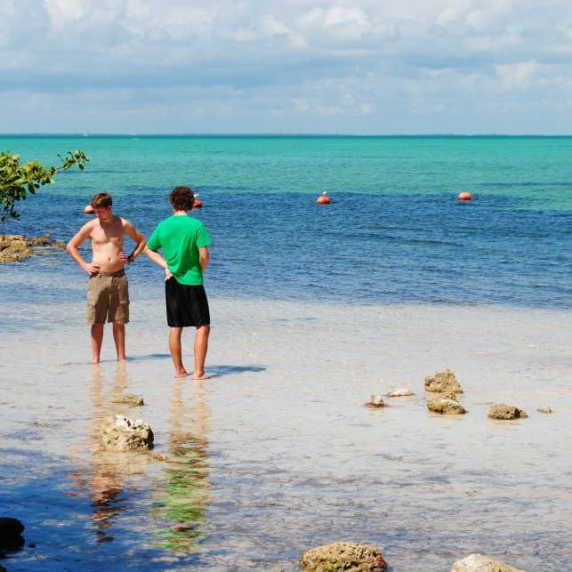 Elliott Key - Biscayne National Park Camping | The Dyrt